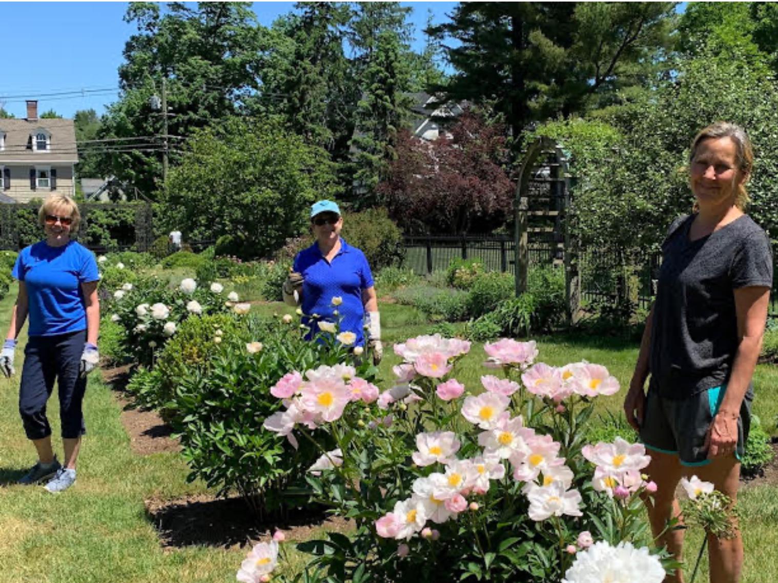 Garden in Ridgefield’s Ballard Park gets a renovation