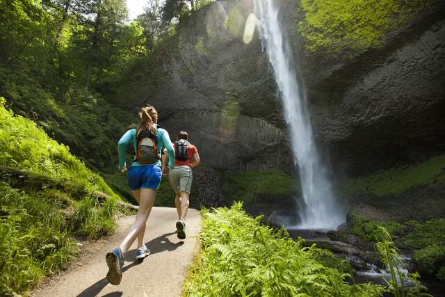 Fall forest getaways in Washington and beyond