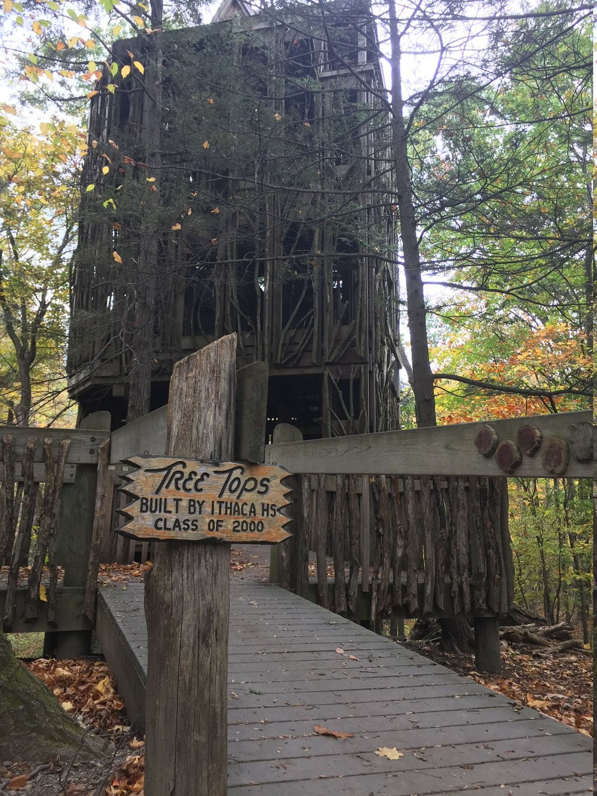 Glamping in Ithaca includes waterfall views, varied eats