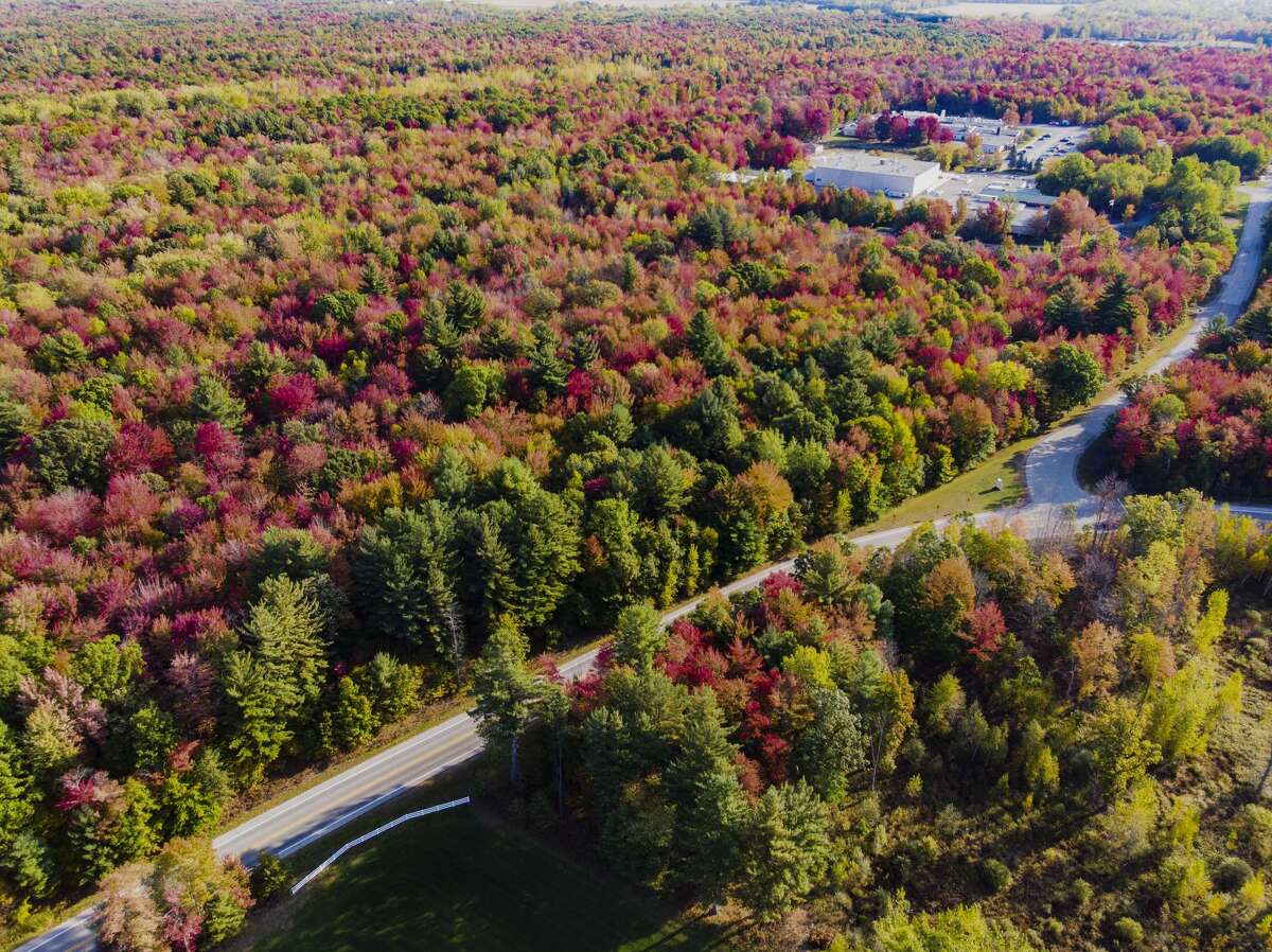 Photos: Autumn leaves in Midland, as seen from a drone