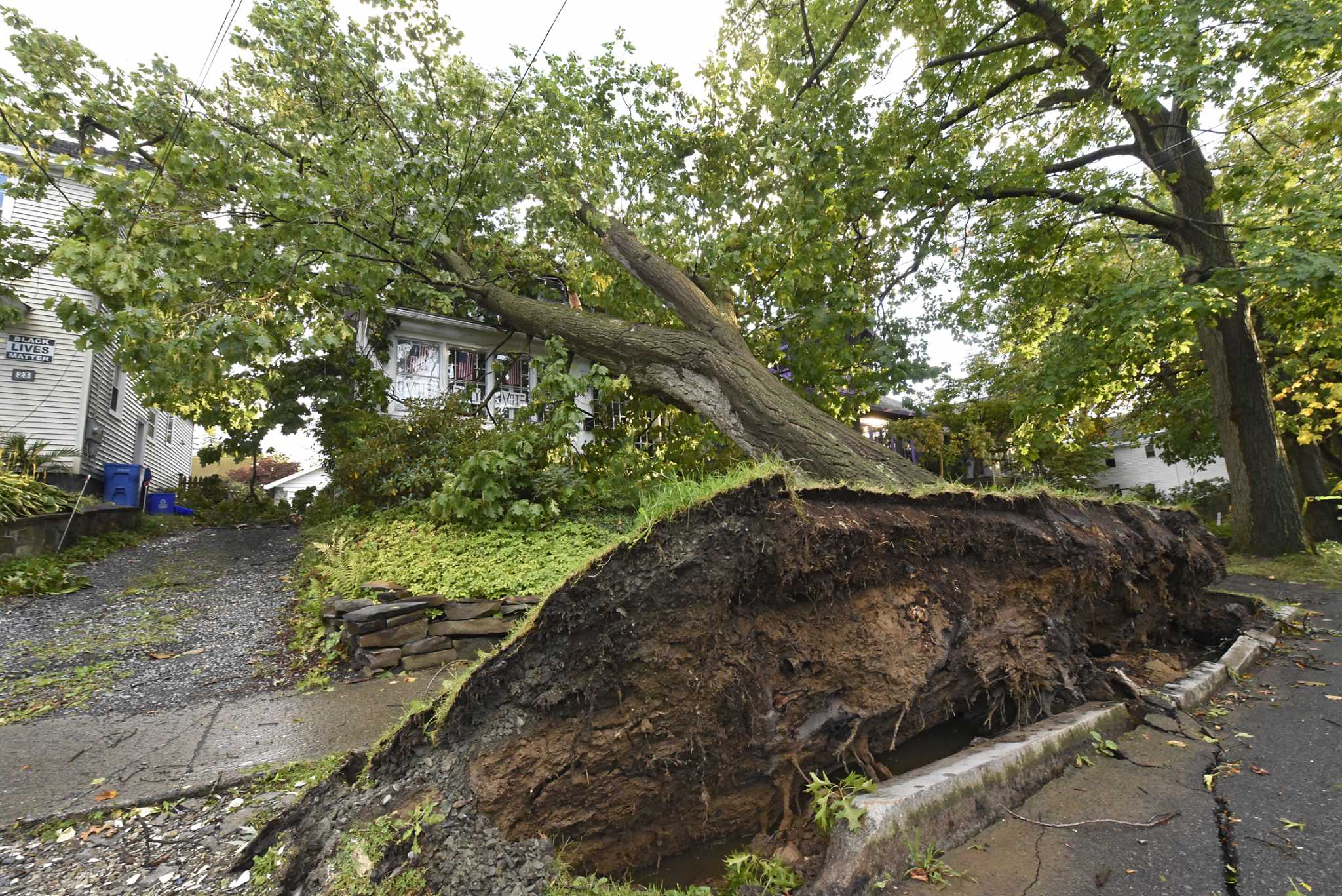 Photos: Strong thunderstorm causes widespread damage across Capital Region