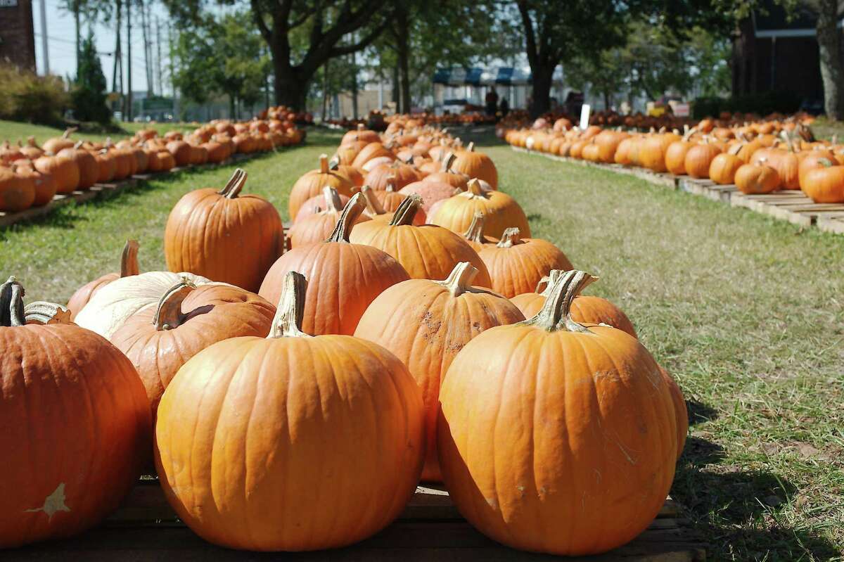 Pandemic doesn’t stop ‘Pumpkin Church’ tradition