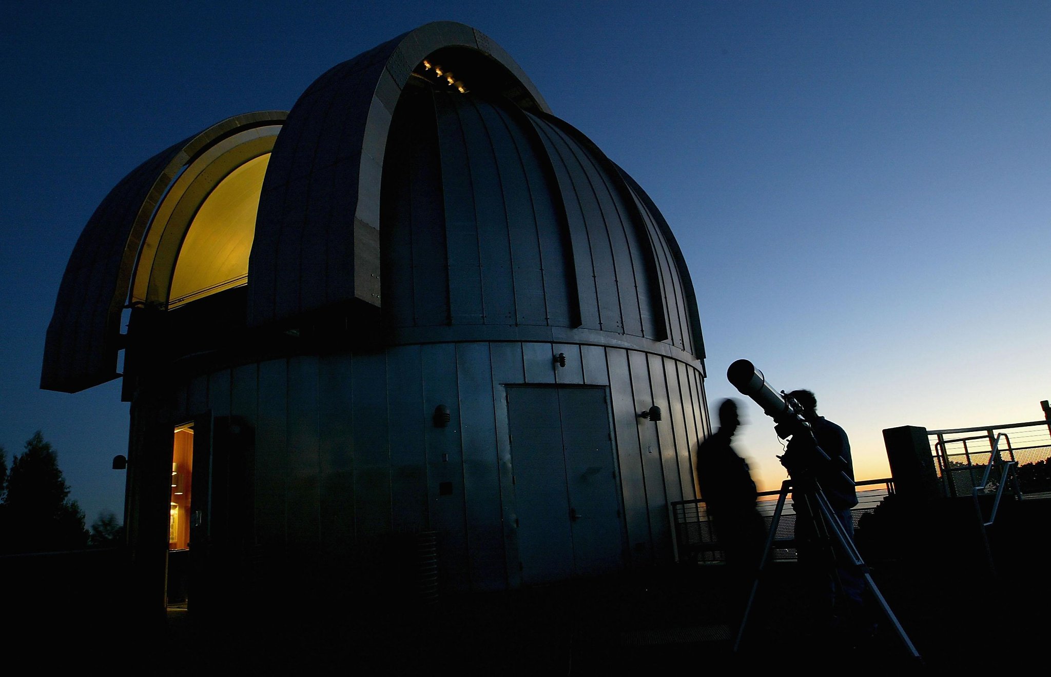 25 of the best free things to do in San Francisco this winter