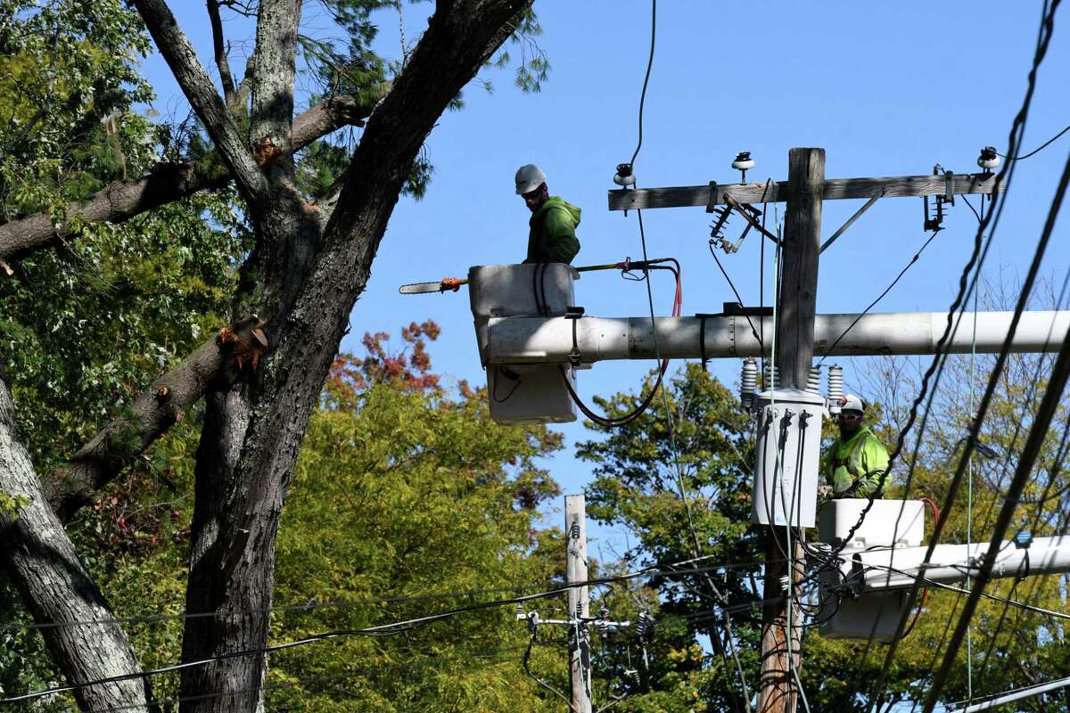 National Grid to plant news trees after October storm destruction