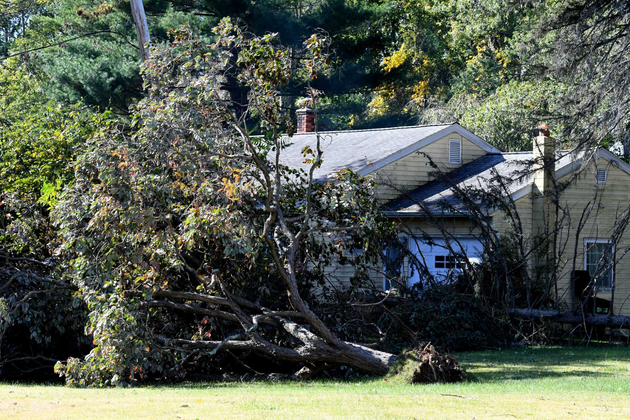 Photos: Strong thunderstorm causes widespread damage across Capital Region