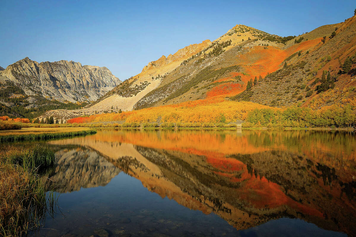 Go now to see the 'best ever' fall colors in Sierra Nevada