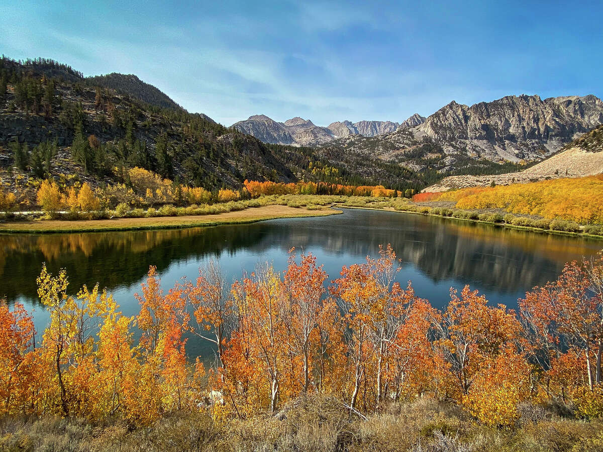 Go now to see the 'best ever' fall colors in Sierra Nevada
