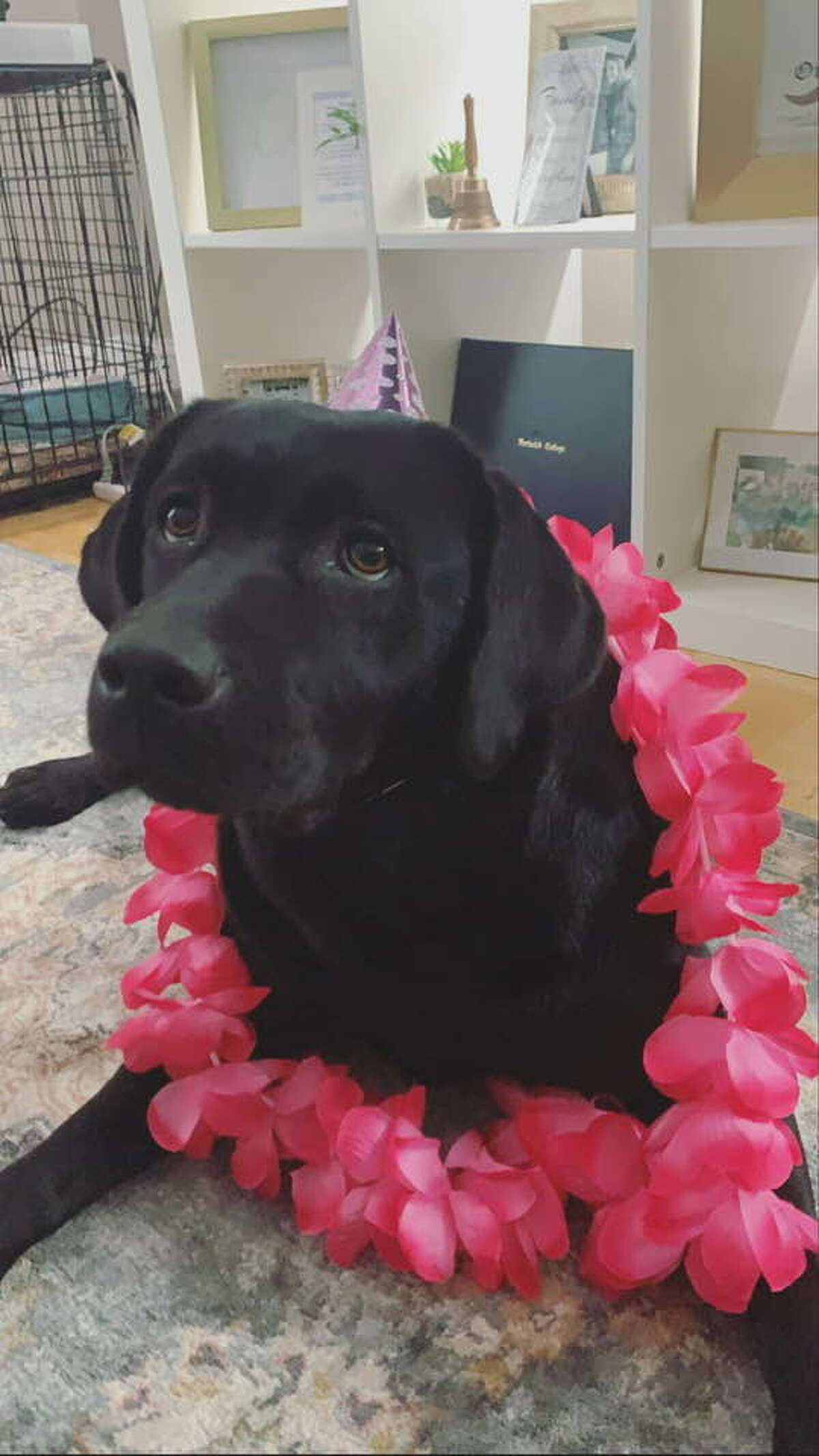 20 things you don’t know about me: Colleen Cunningham