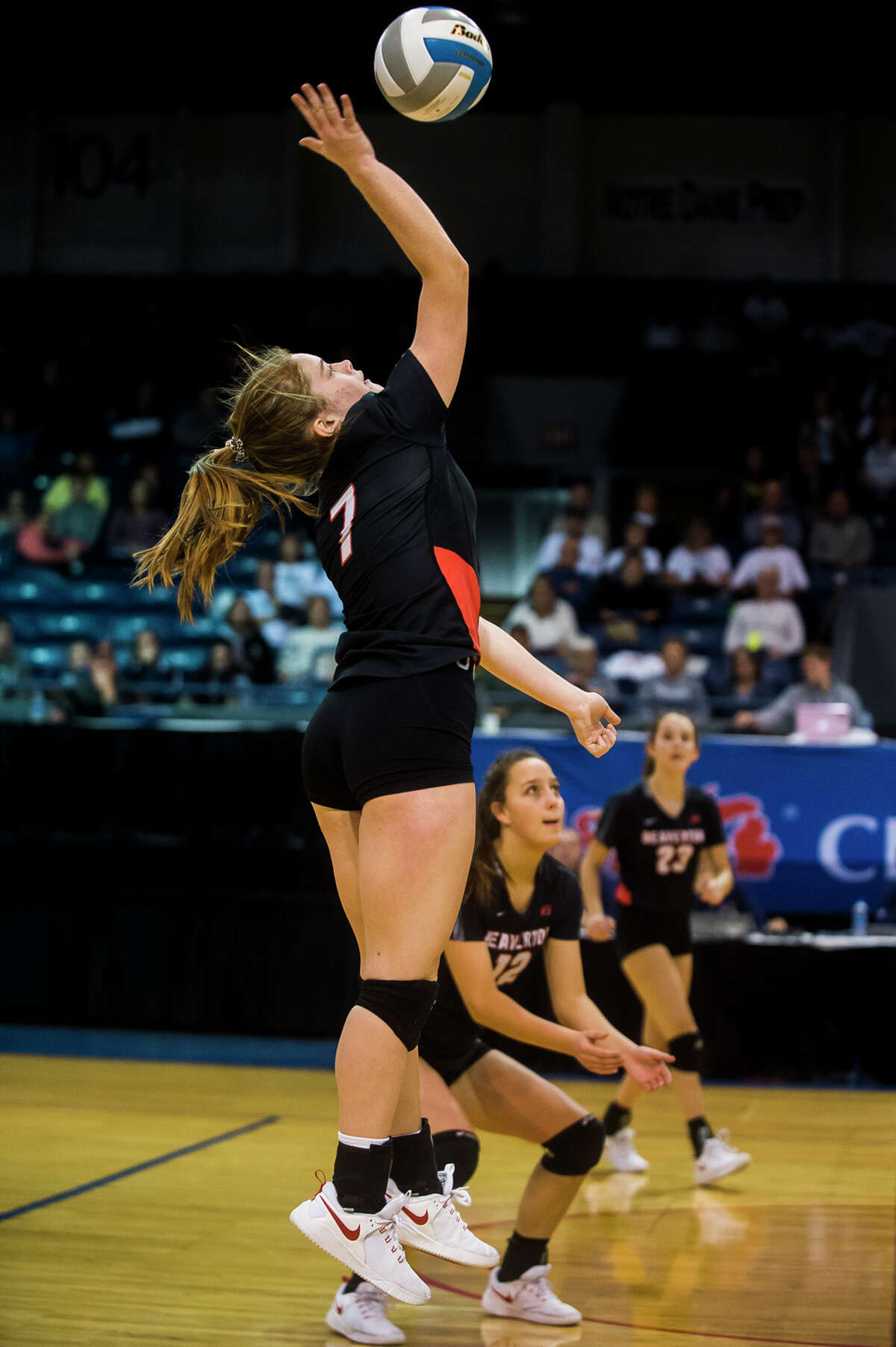 Kelly: Beavers' success story should not be overlooked