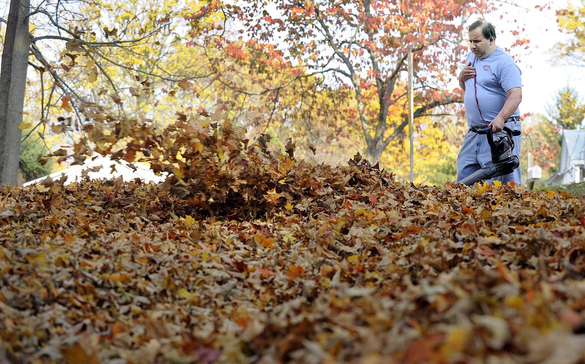 What to know about leaf pick-up in Danbury this year