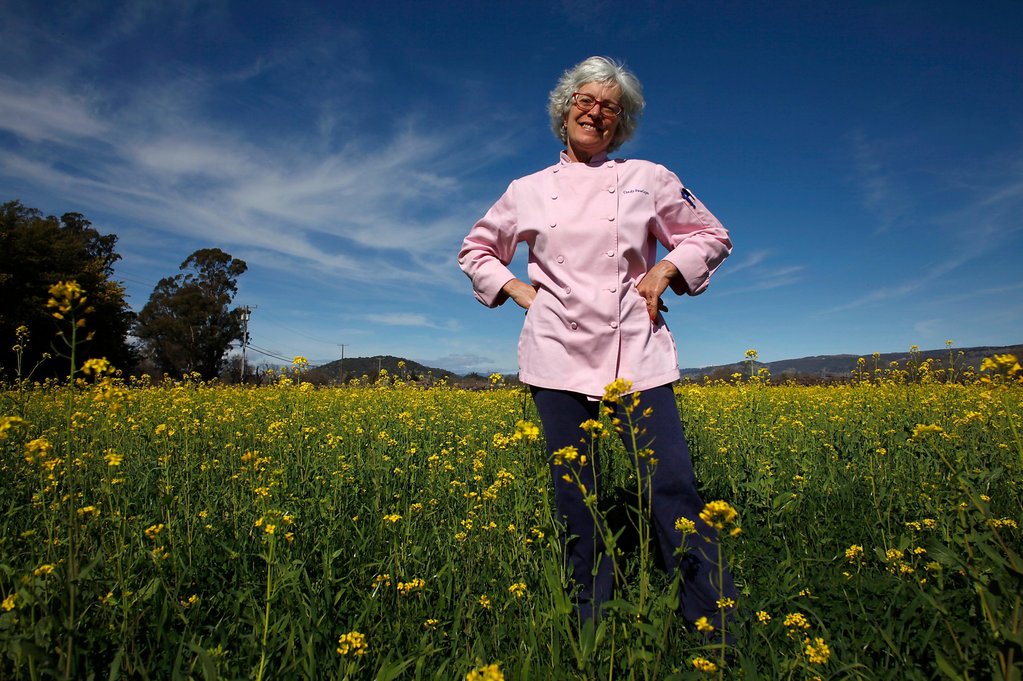 Legendary Napa chef Cindy Pawlcyn loses 3,800 cookbooks after home ...