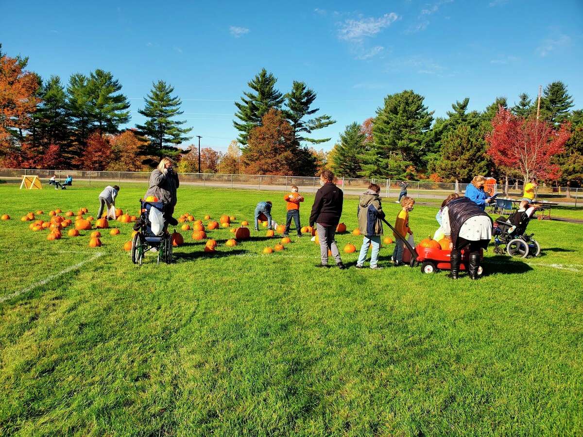 A quick trip to the pumpkin patch