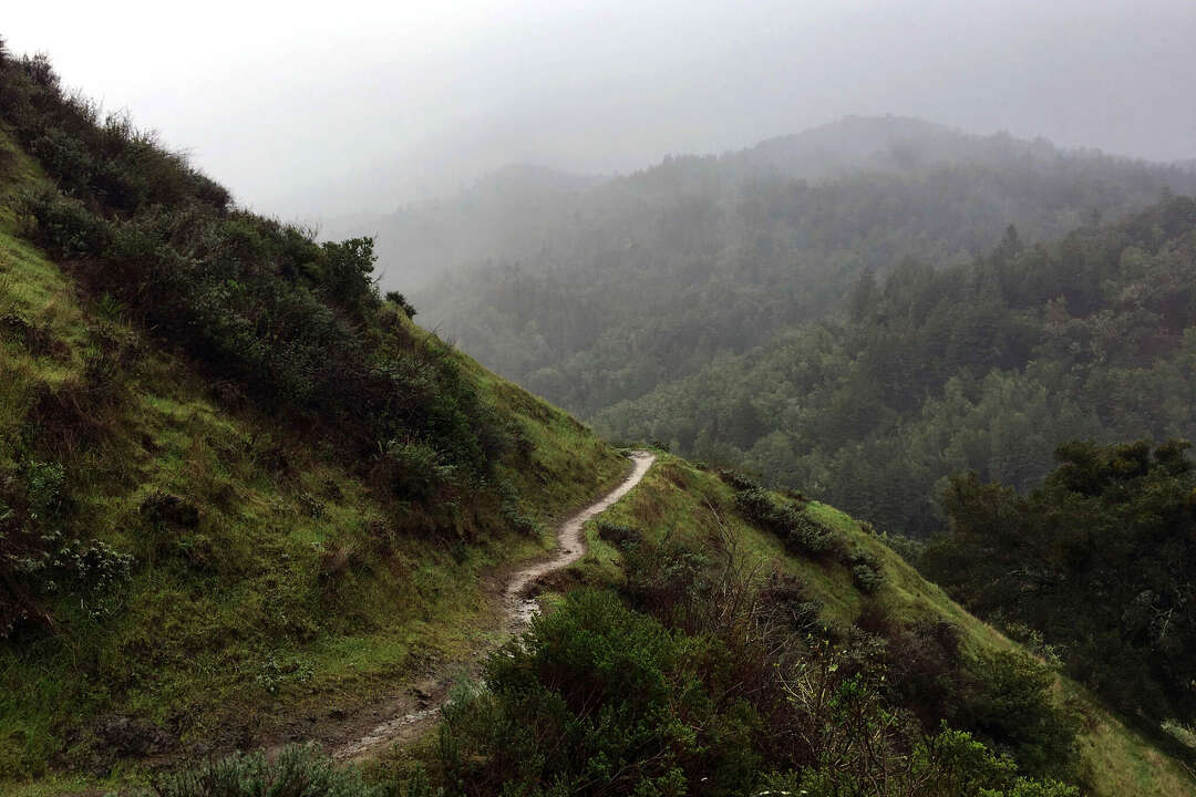 'Do not hike alone': For 21 months, the Trailside Killer terrorized Bay ...