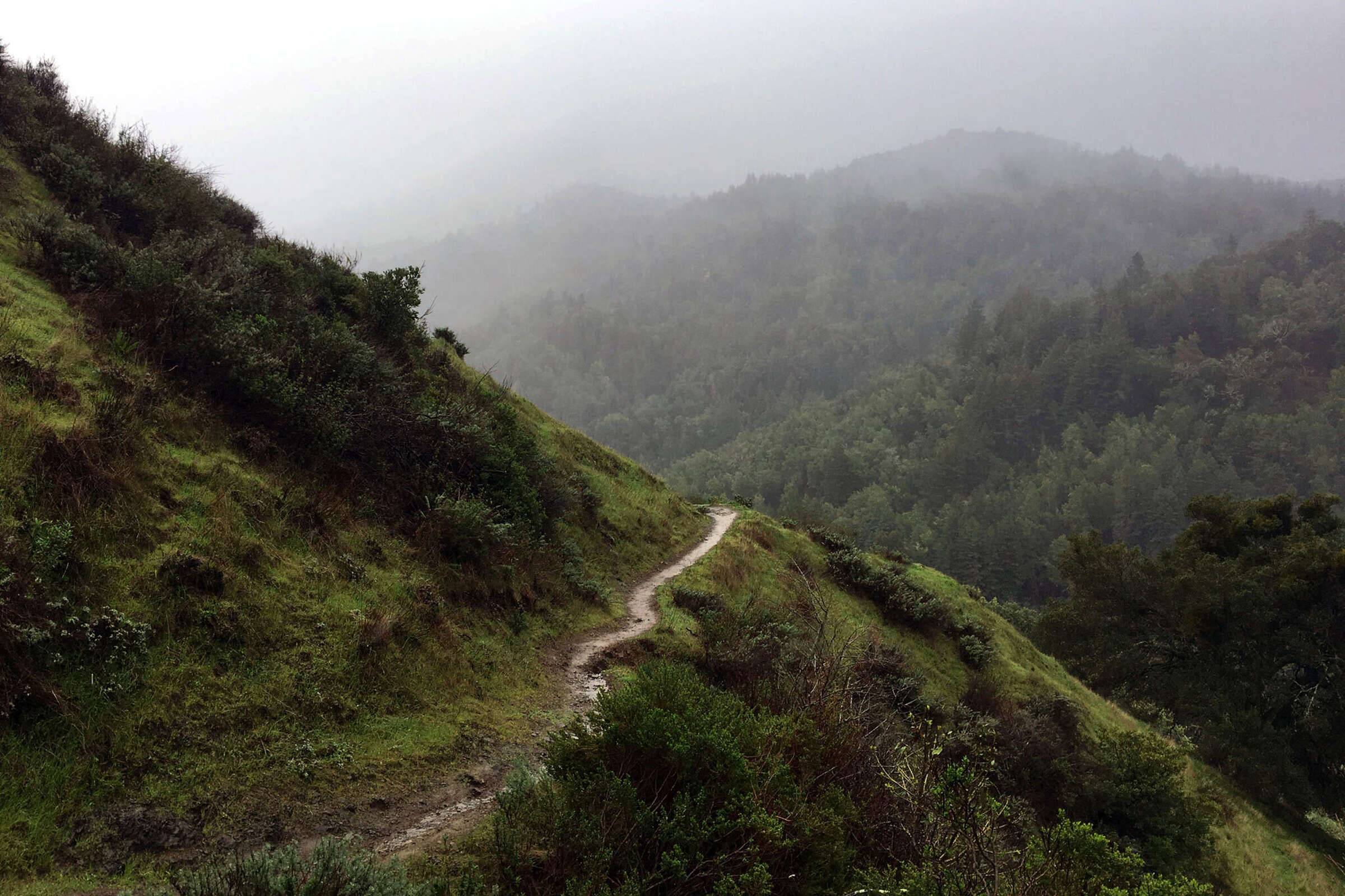 'Do not hike alone': For 21 months, the Trailside Killer terrorized Bay ...