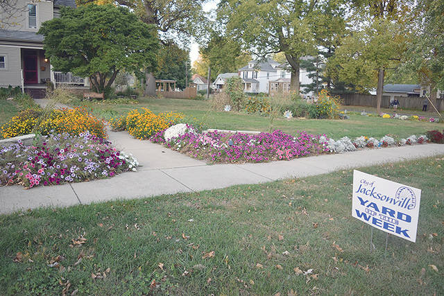 Photo: Yard of the week