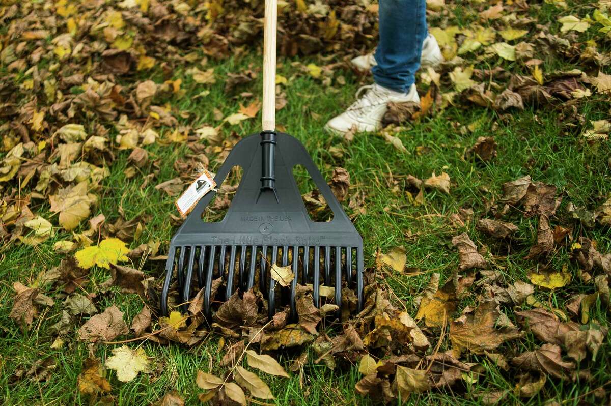 Little Black Rake gets the job done