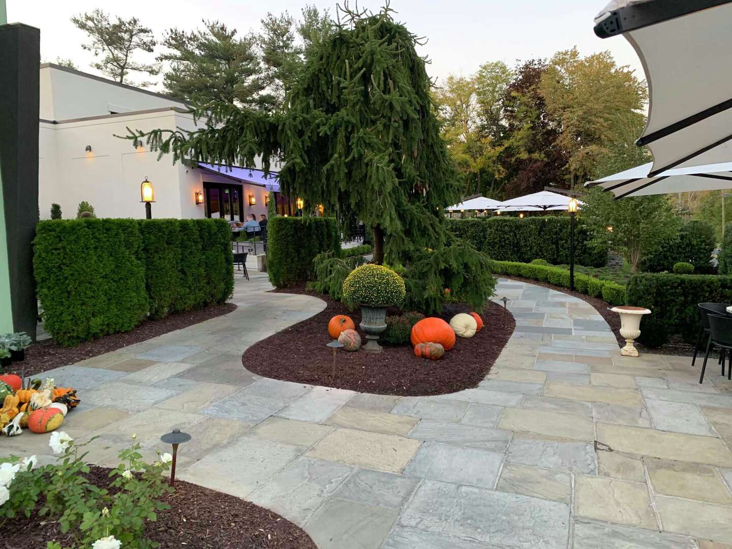 Cheshire's acclaimed Viron Rondo Osteria plans major expansion in 2025