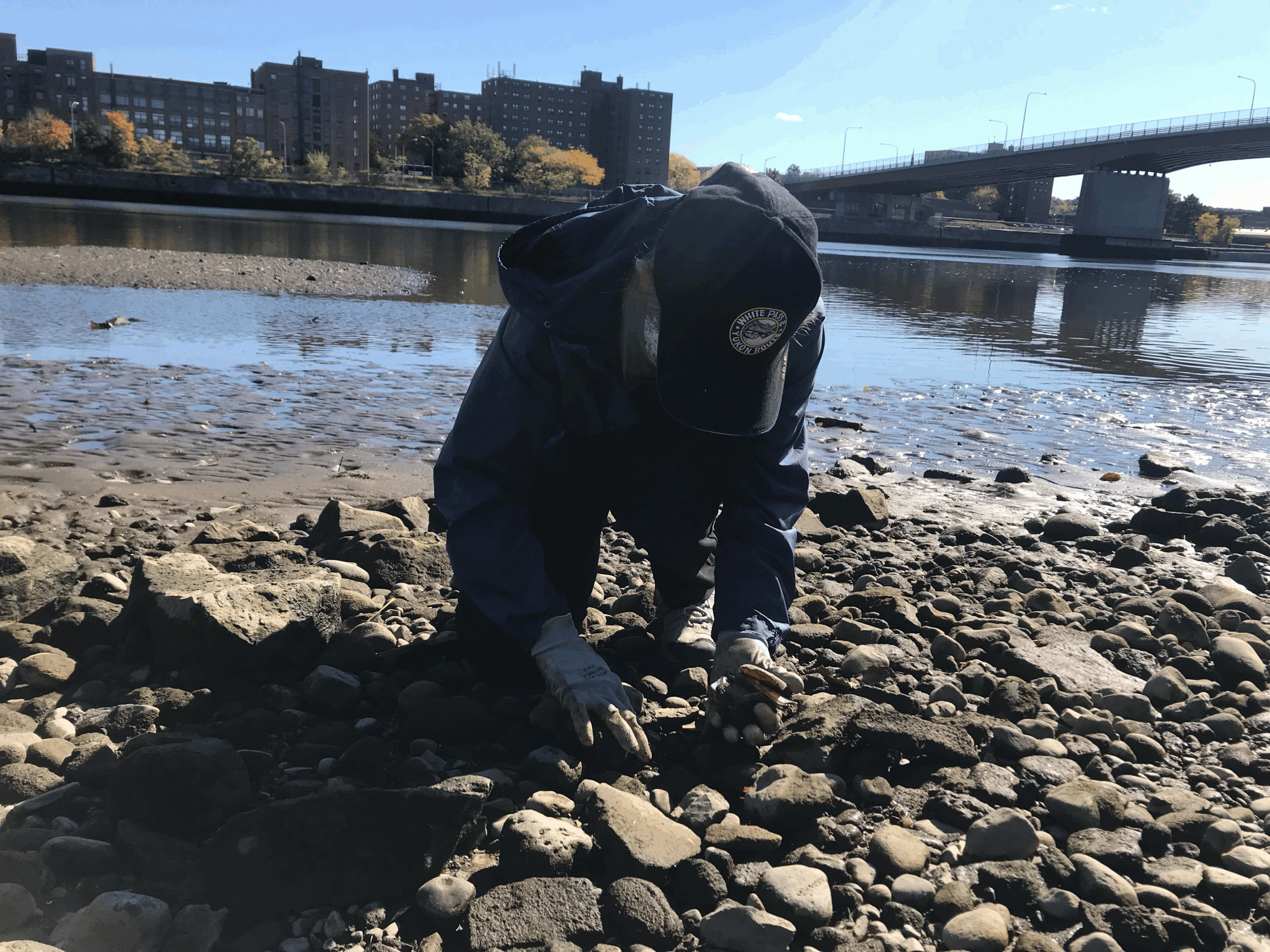 Dozens help clean Hudson River shoreline in Watervliet