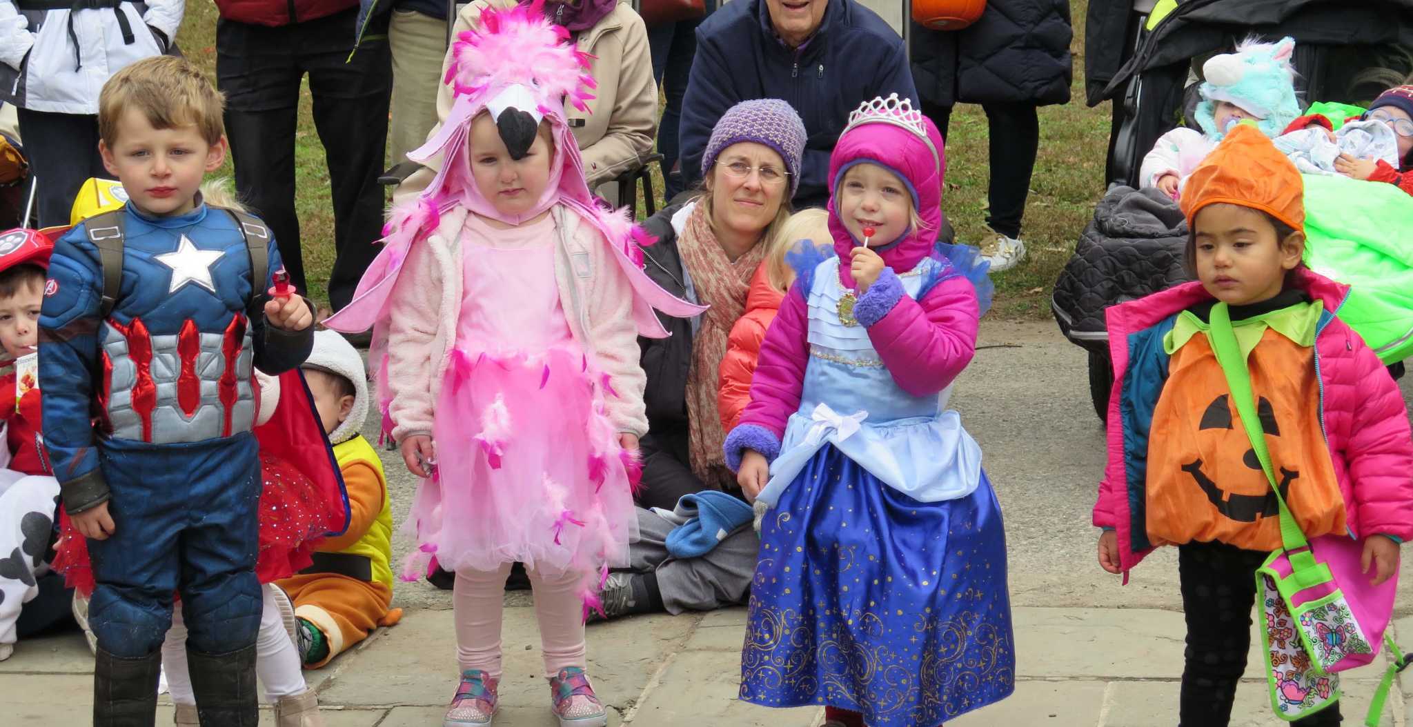 Trick-or-treating not a good idea, Darien first selectman says