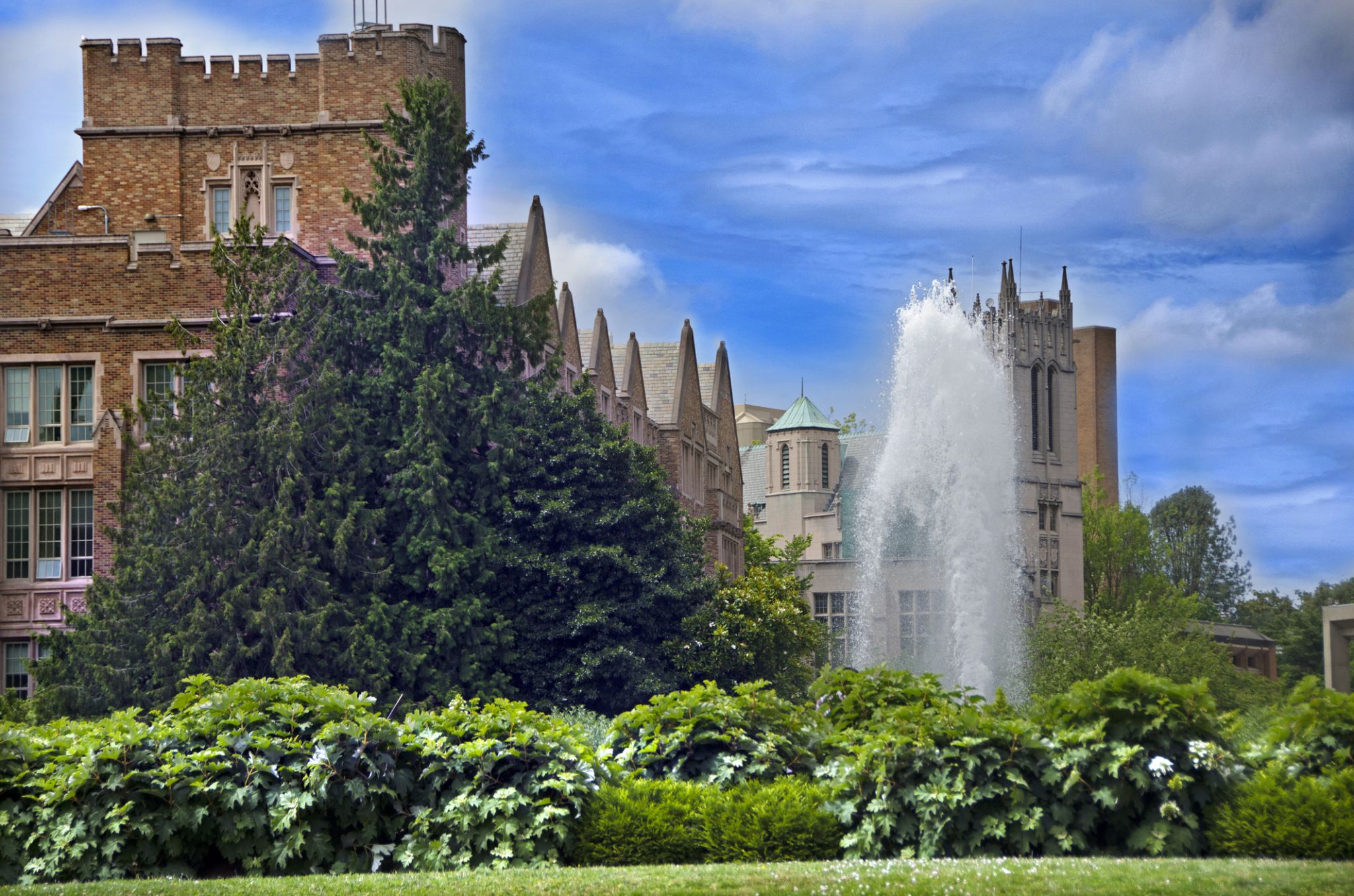 University of Washington named 8th best university in the world