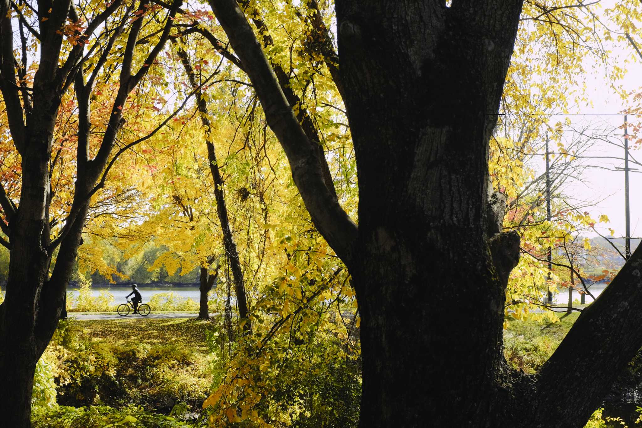 Jason Gough's forecast: Enjoy the sunshine before a gloomy start to the ...