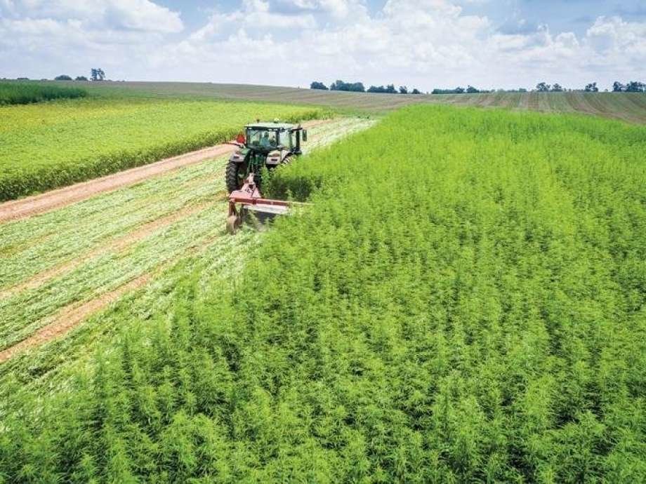 Michigan’s hemp plan gets USDA approval