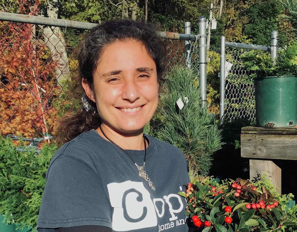 New Canaan community events give you many options to enjoy