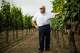 Rochioli Vineyards has deep roots in Healdsburg