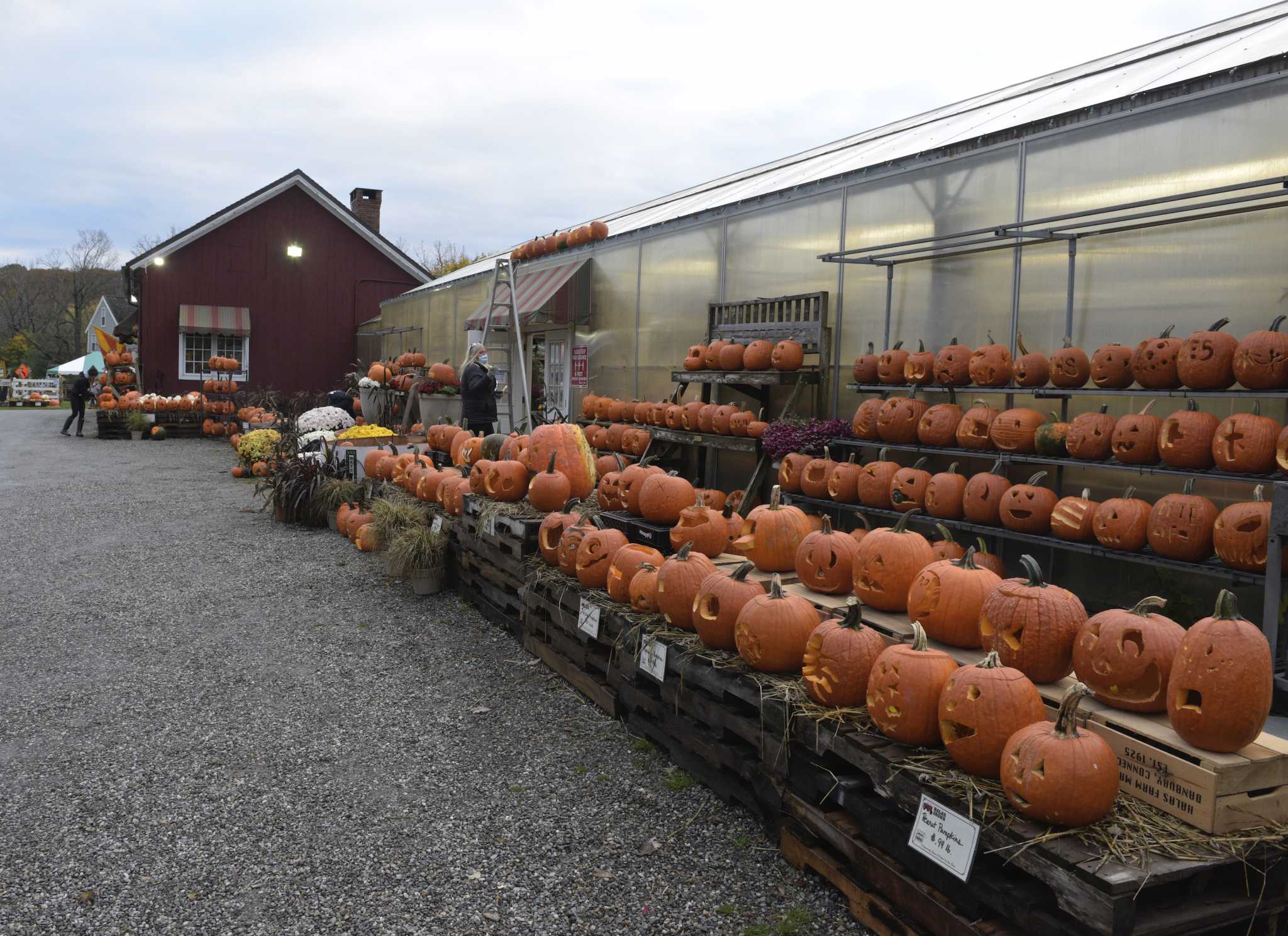 CT farm looks to beat Guinness World Record for the most carved pumpkins