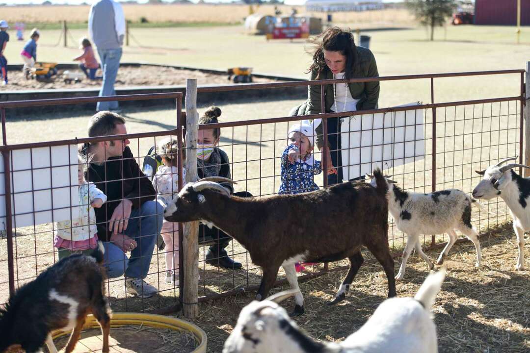 Fiddlesticks Farms near Midland opens this weekend