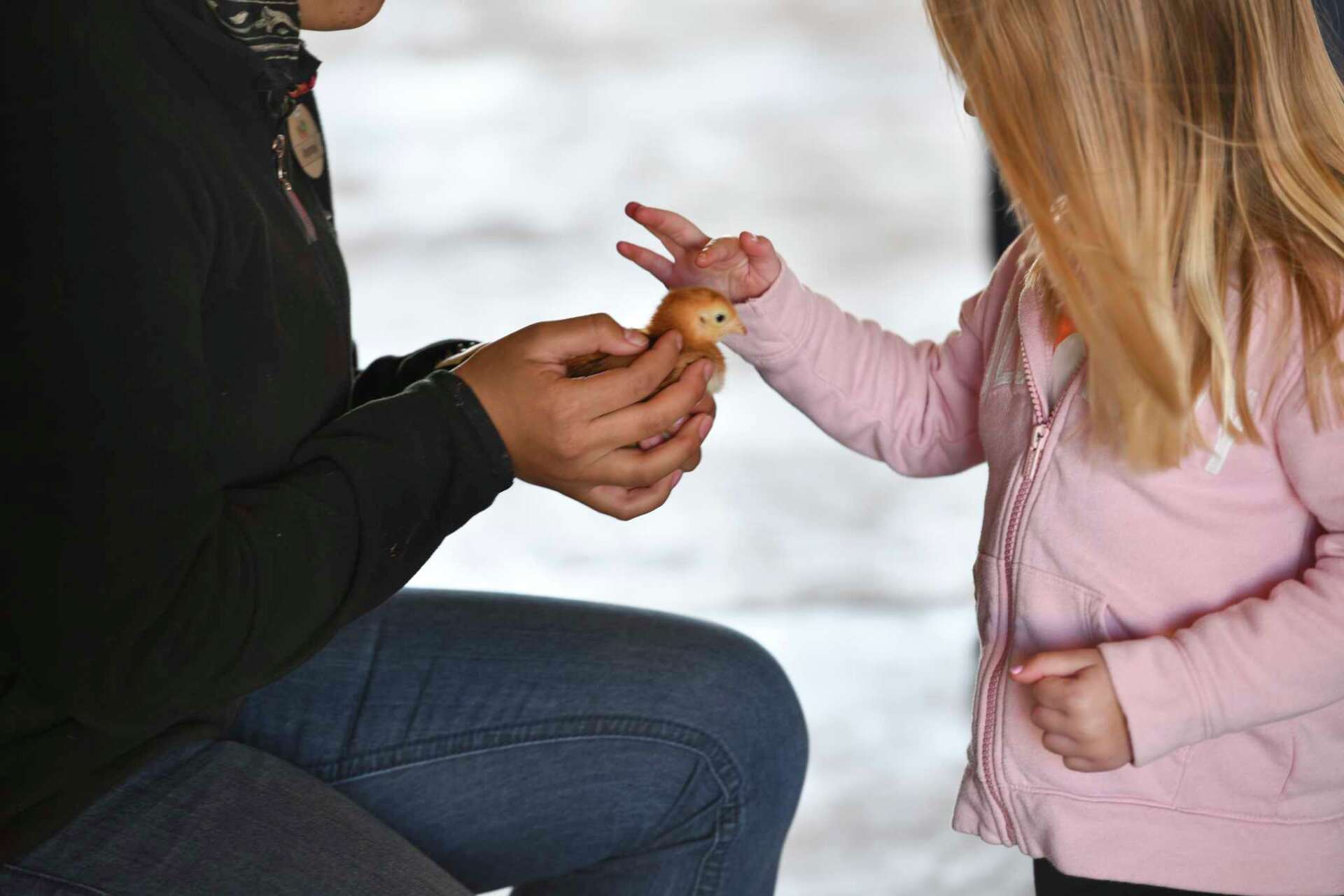 Fiddlesticks Farms opens the fall season with family activities