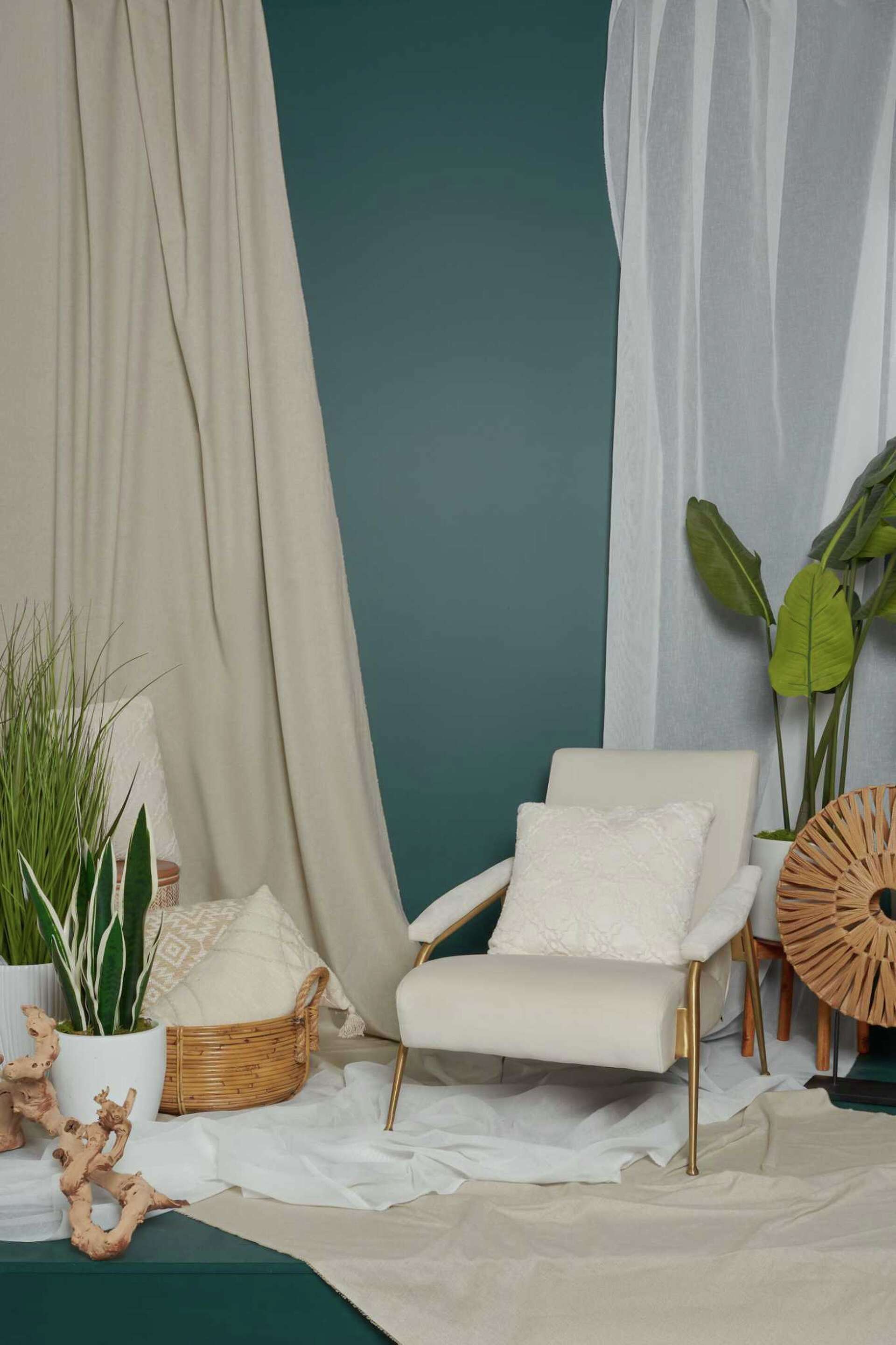 Humble businesswoman empowers plus-size women through clothing boutique