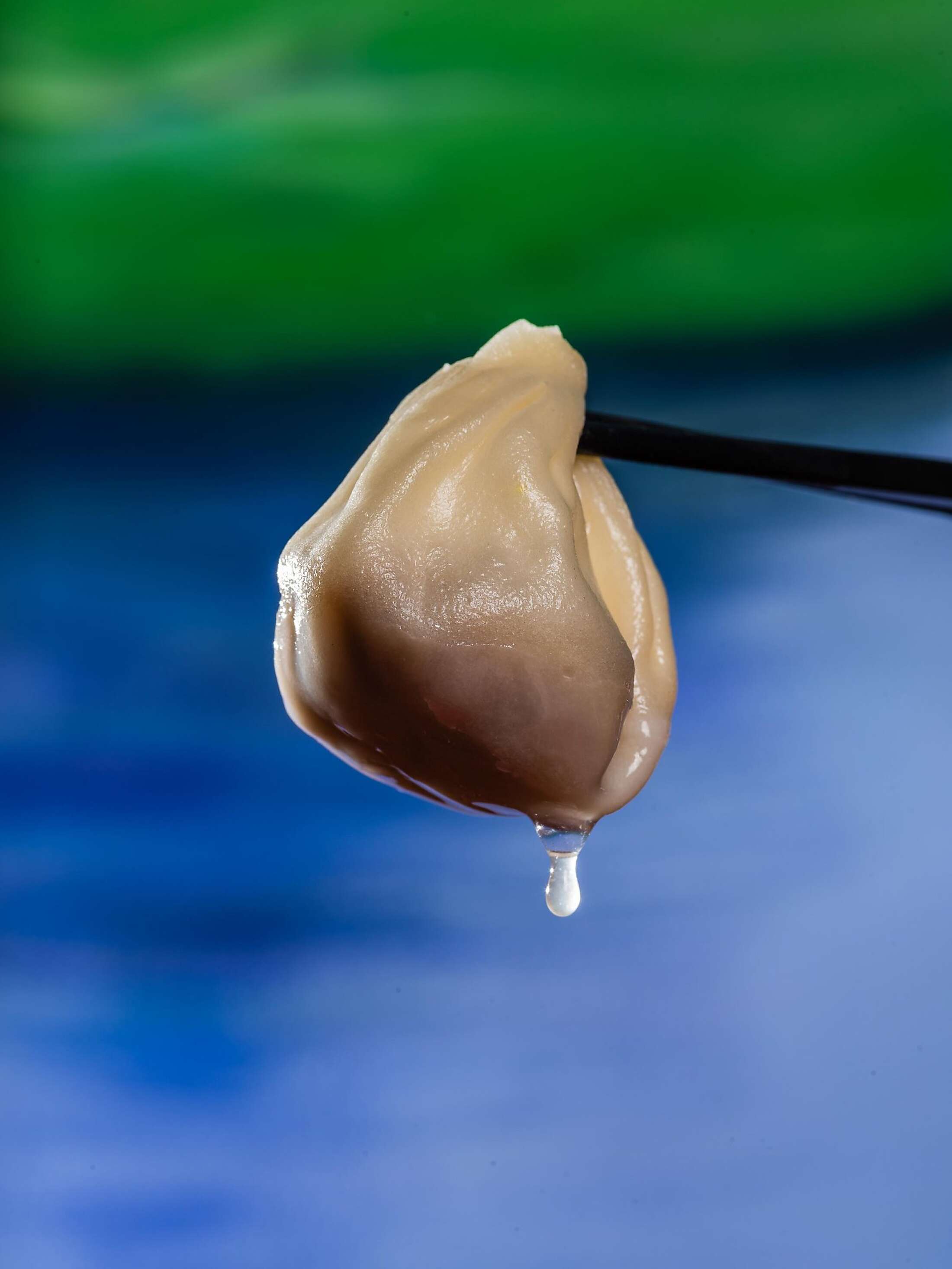 Dumpling Home’s luscious soup dumplings are worth leaving the house to eat