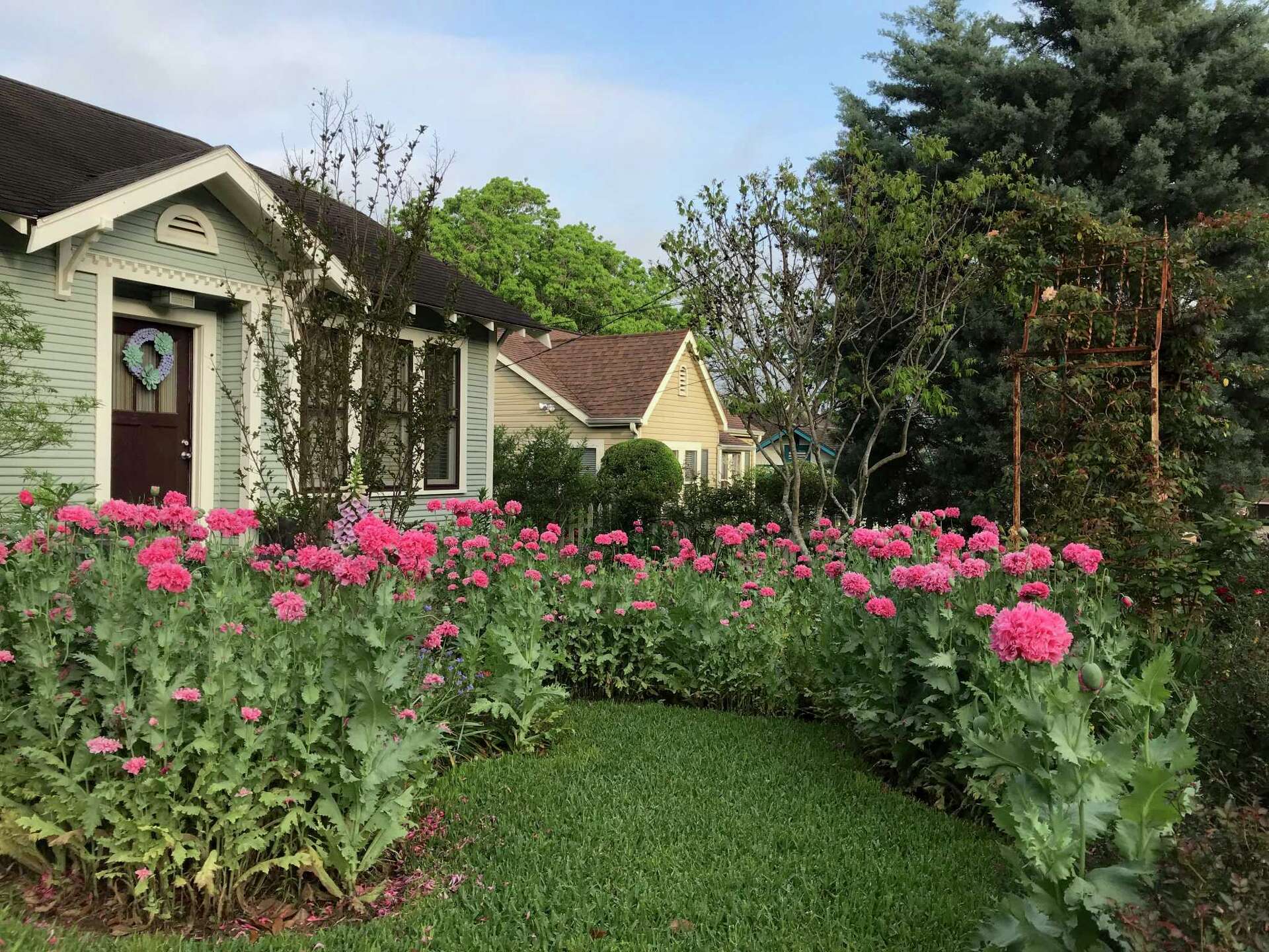Got seeds? Plant them now for spring blossoms in Houston.