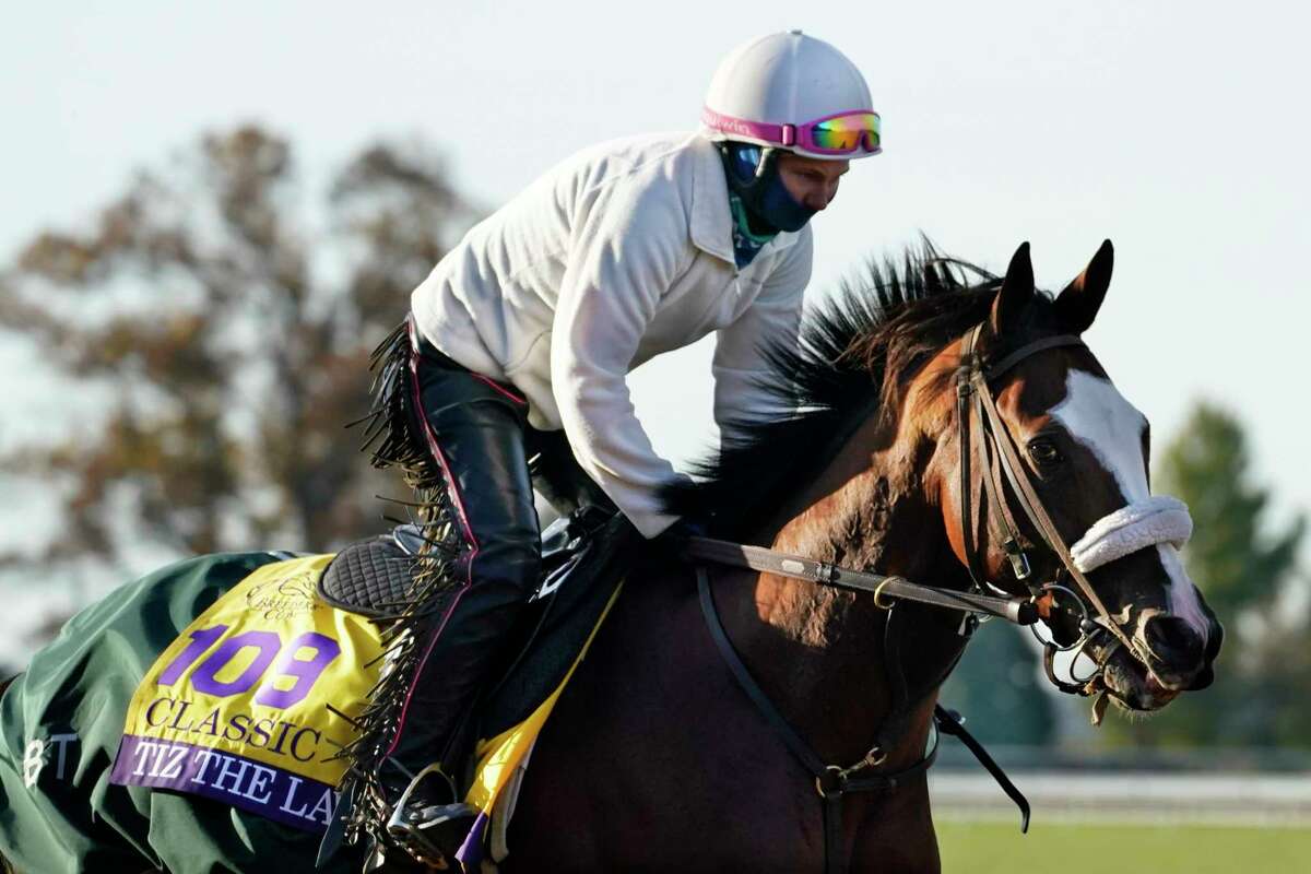 From Tiz the Law to Bodacious Tatas: How to name a racehorse