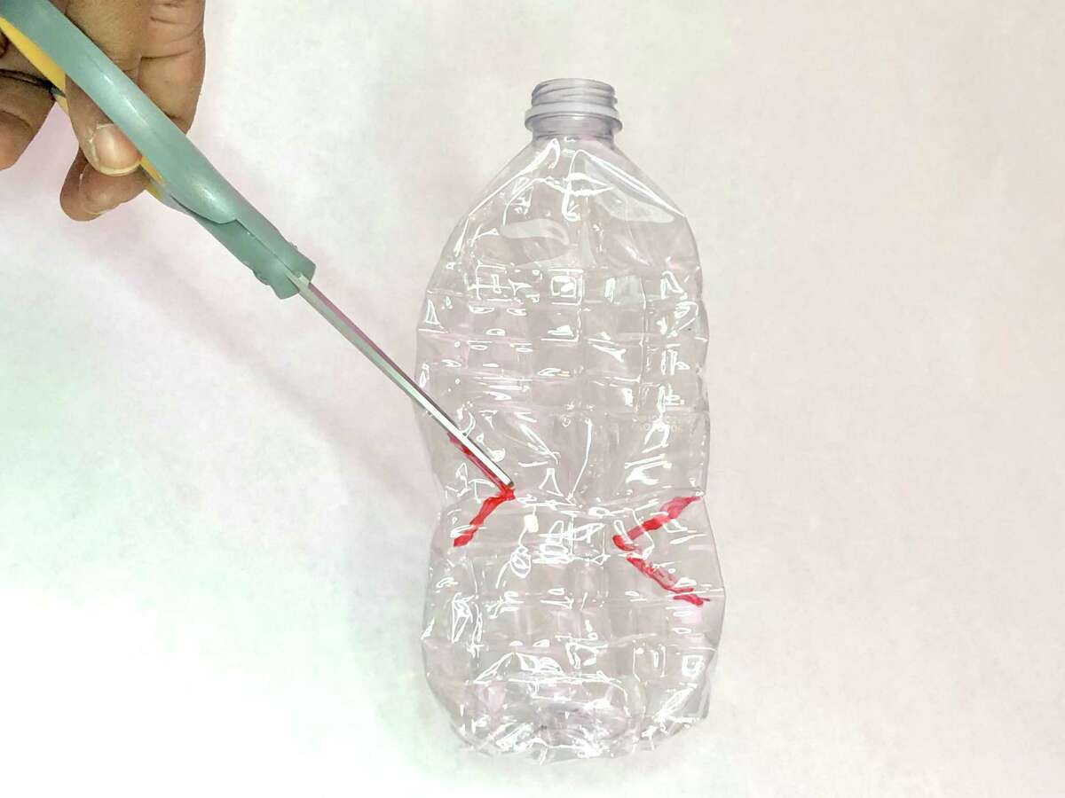 Kids craft lesson from San Antonio Zoo to make a water bottle fish