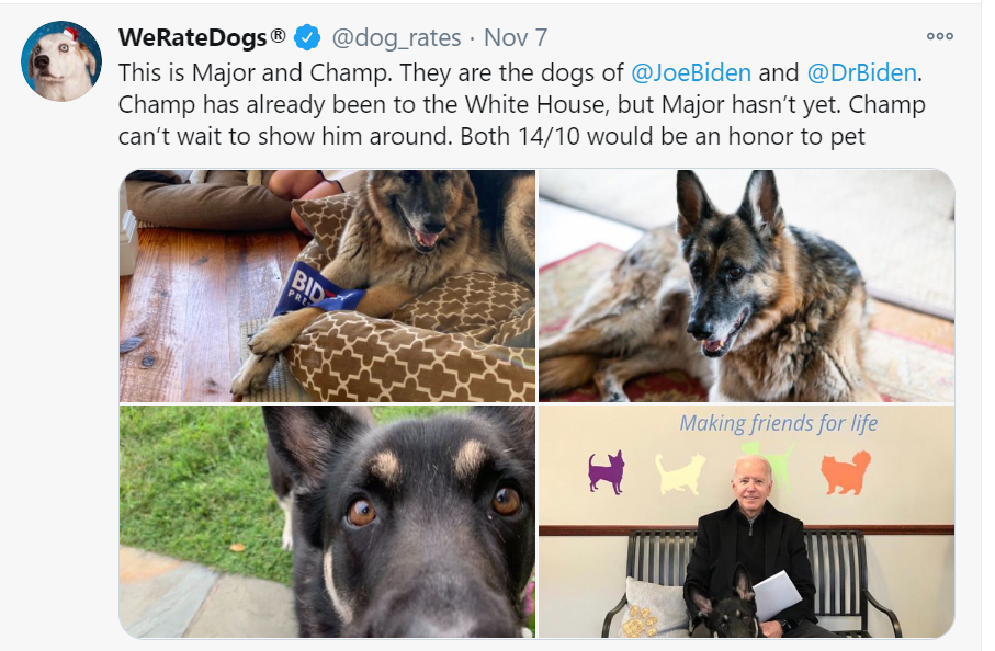 Biden bringing back the tradition of presidential dogs to the White House