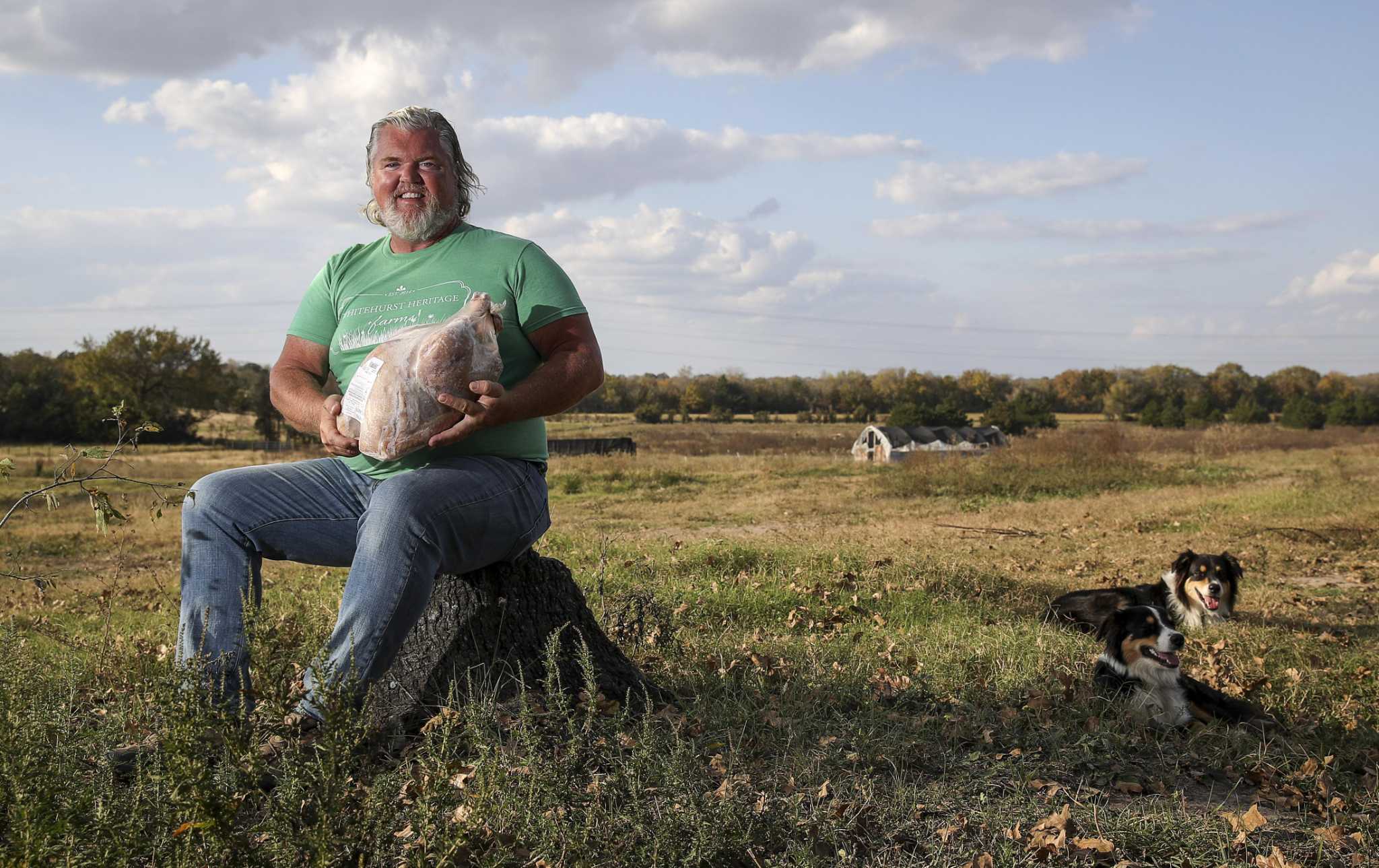 The best Thanksgiving turkeys are harder to come by this year