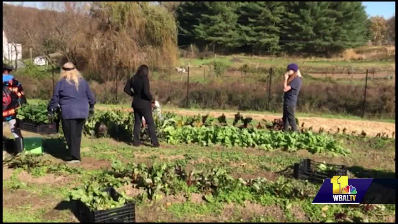 'A sense of community': Program provides unique opportunities for veterans