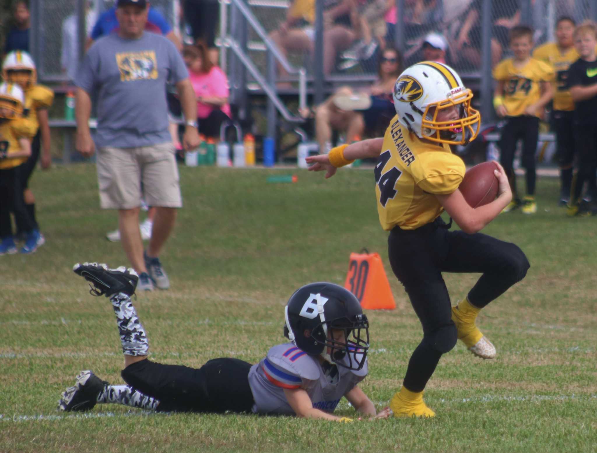 Pee Wee Deer Park Tigers finish 10-0 regular season