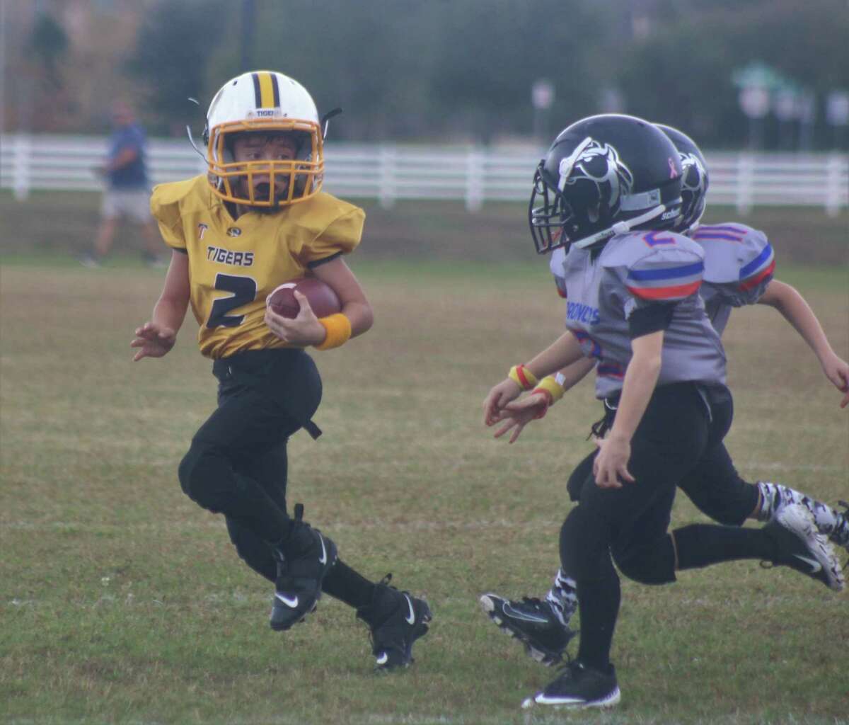 Pee Wee Deer Park Tigers finish 10-0 regular season