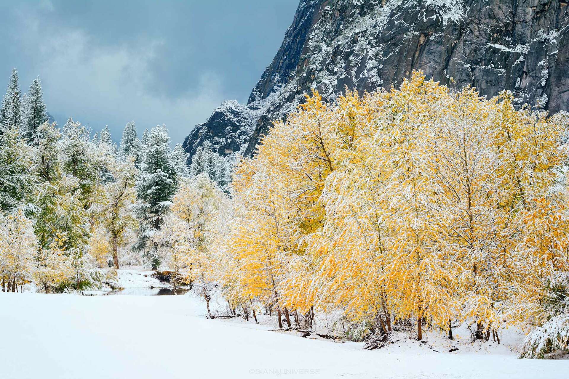 When snow meets fall: Beautiful photos capture 'snowliage' in Yosemite