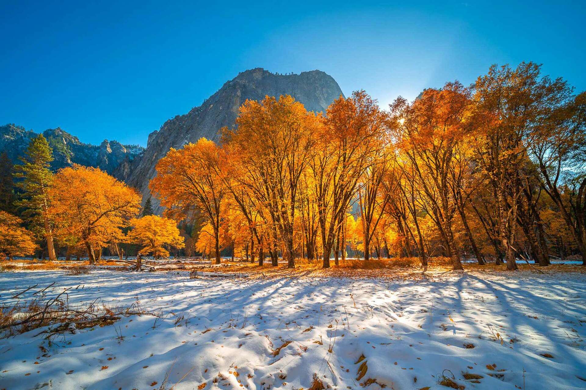 When snow meets fall: Beautiful photos capture 'snowliage' in Yosemite