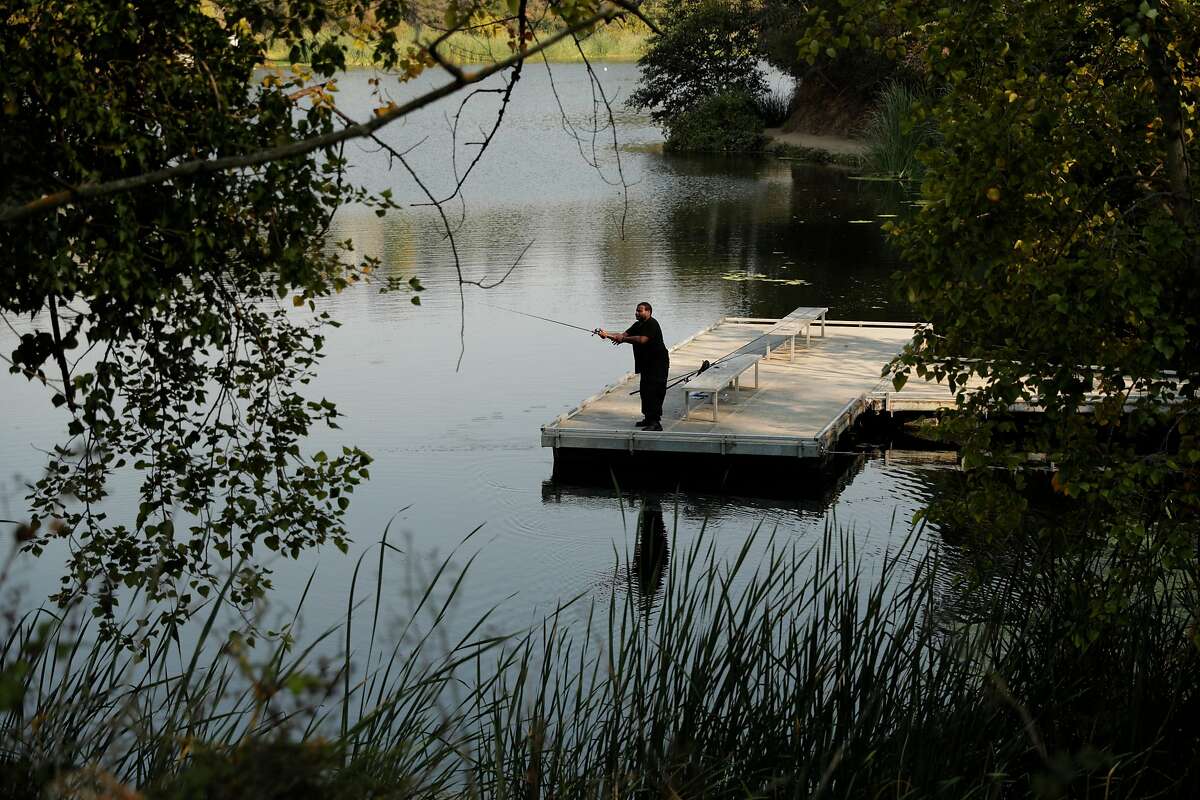 Here are the best places to fish trout in the Bay Area right now