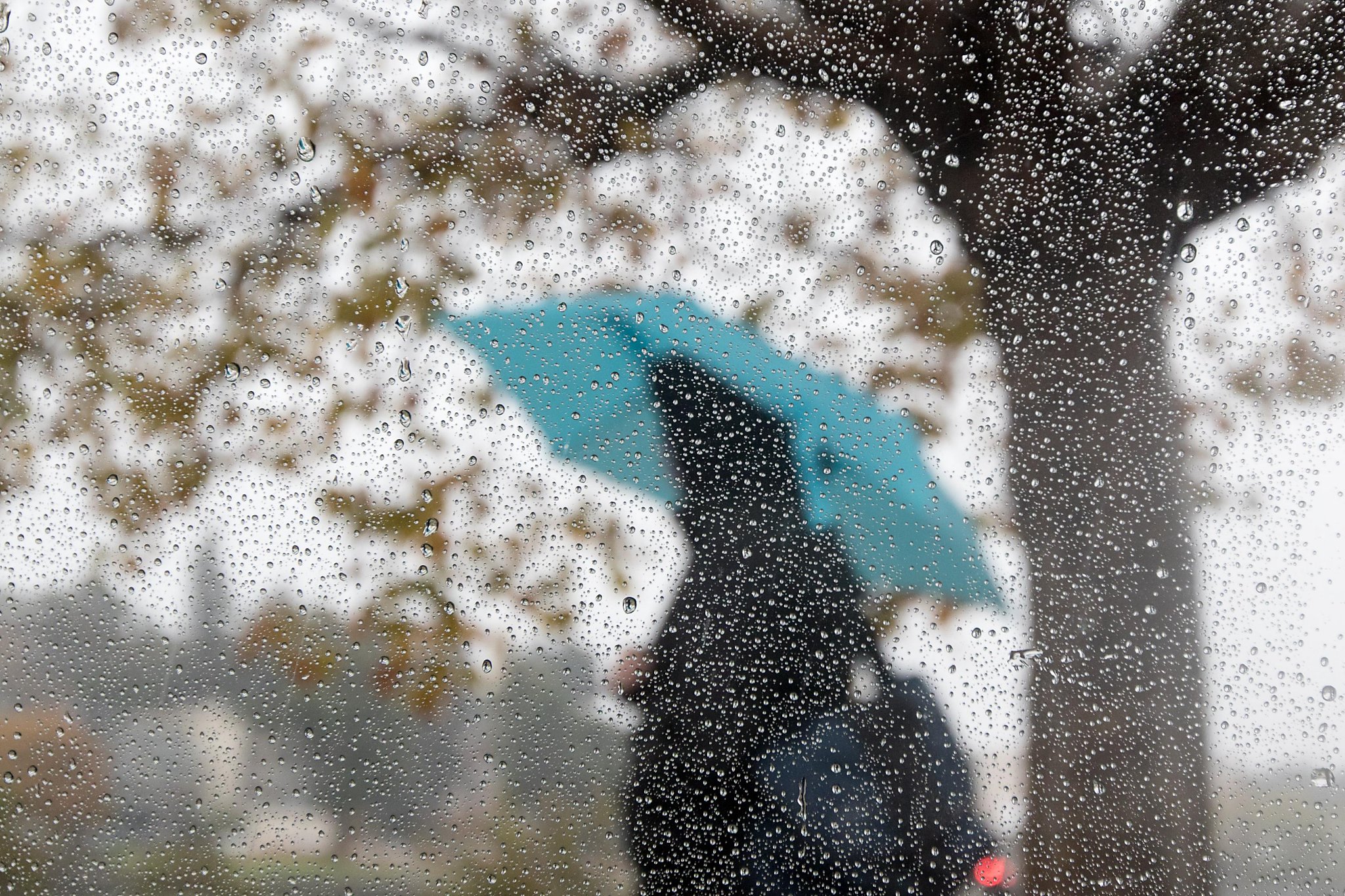 Here's where rain is expected in the Bay Area Monday