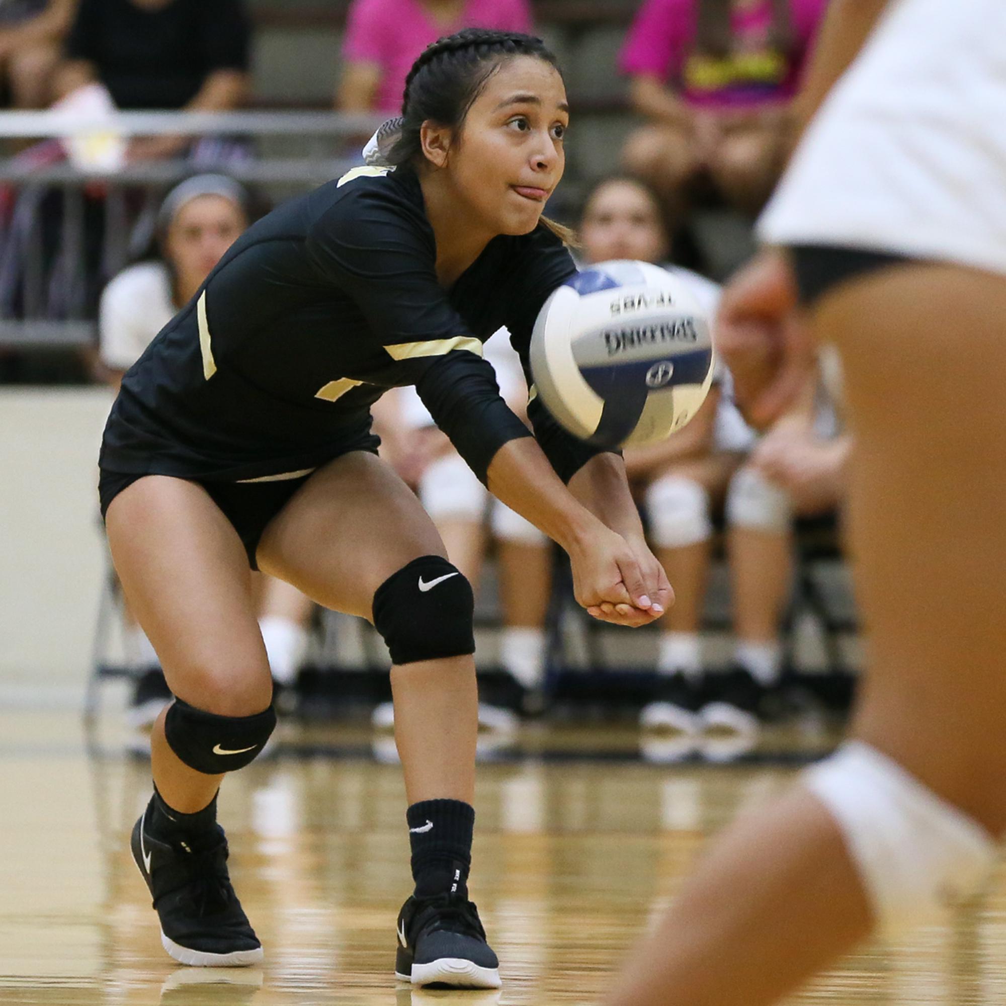 Volleyball playoff preview: Edison makes the most of less