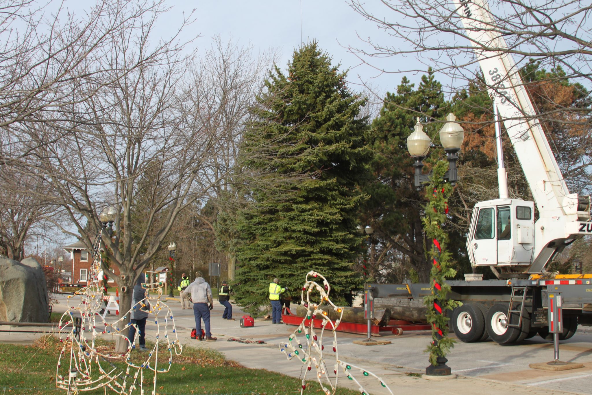 Photos: DPW sets up Christmas tree