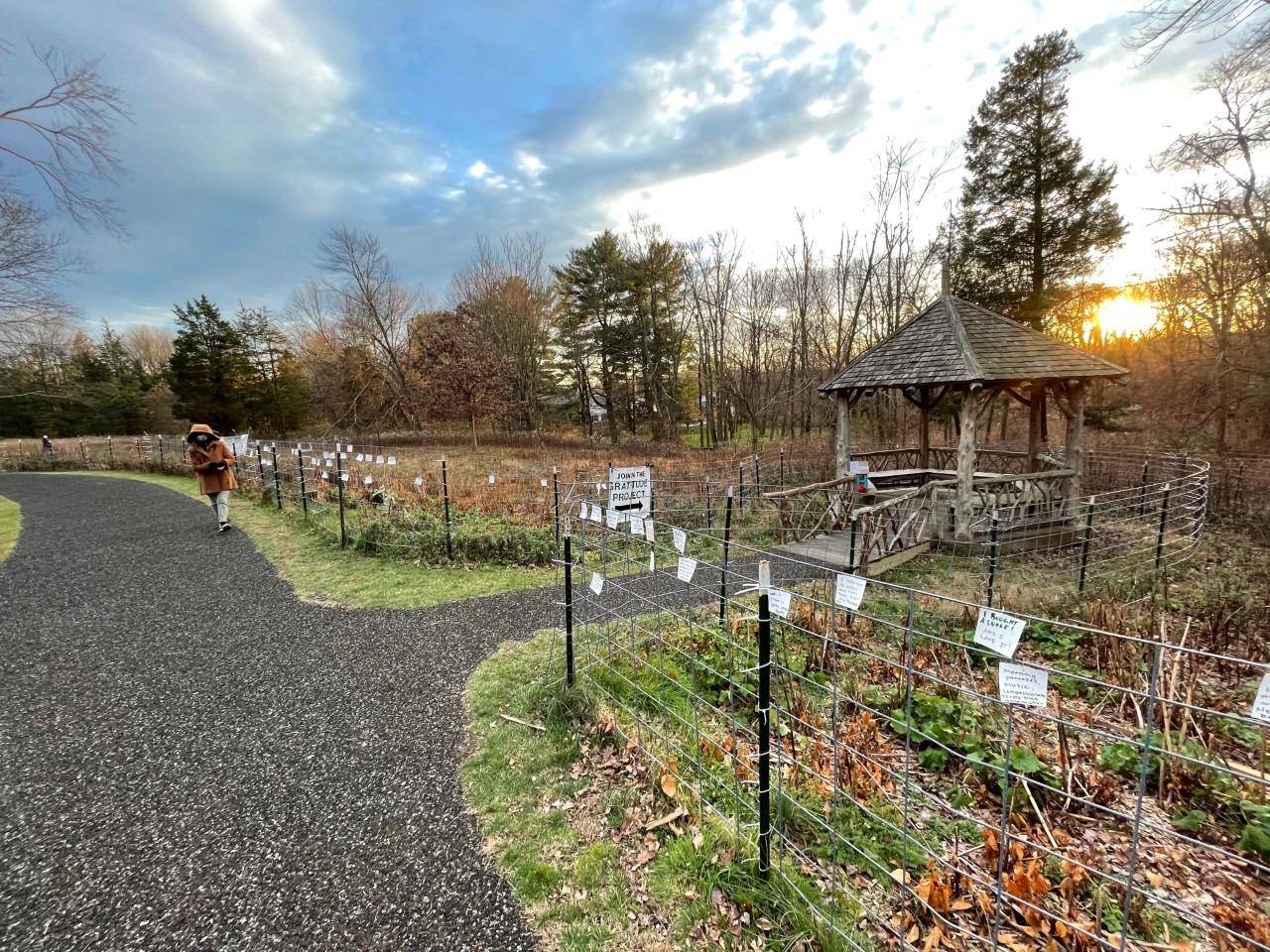 ‘Thankful Row’ set up in Irwin Park in New Canaan