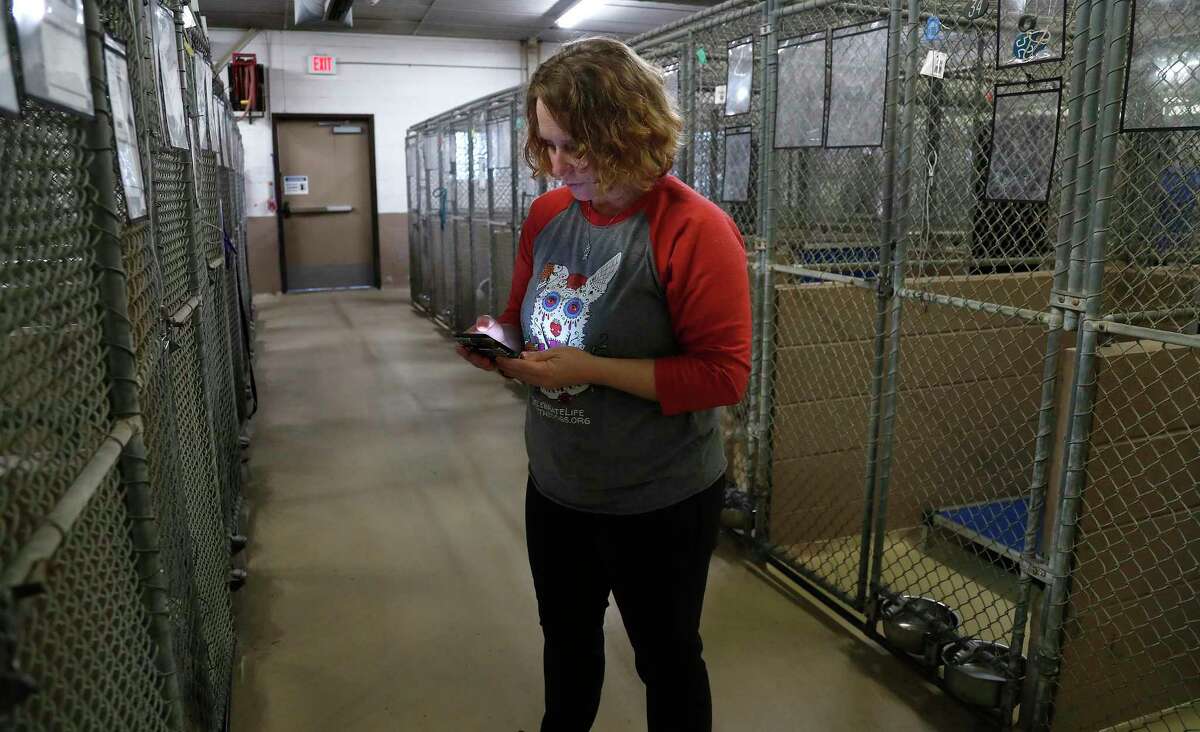 Inside a woman’s quest to save shelter pets in Houston and beyond — one ...
