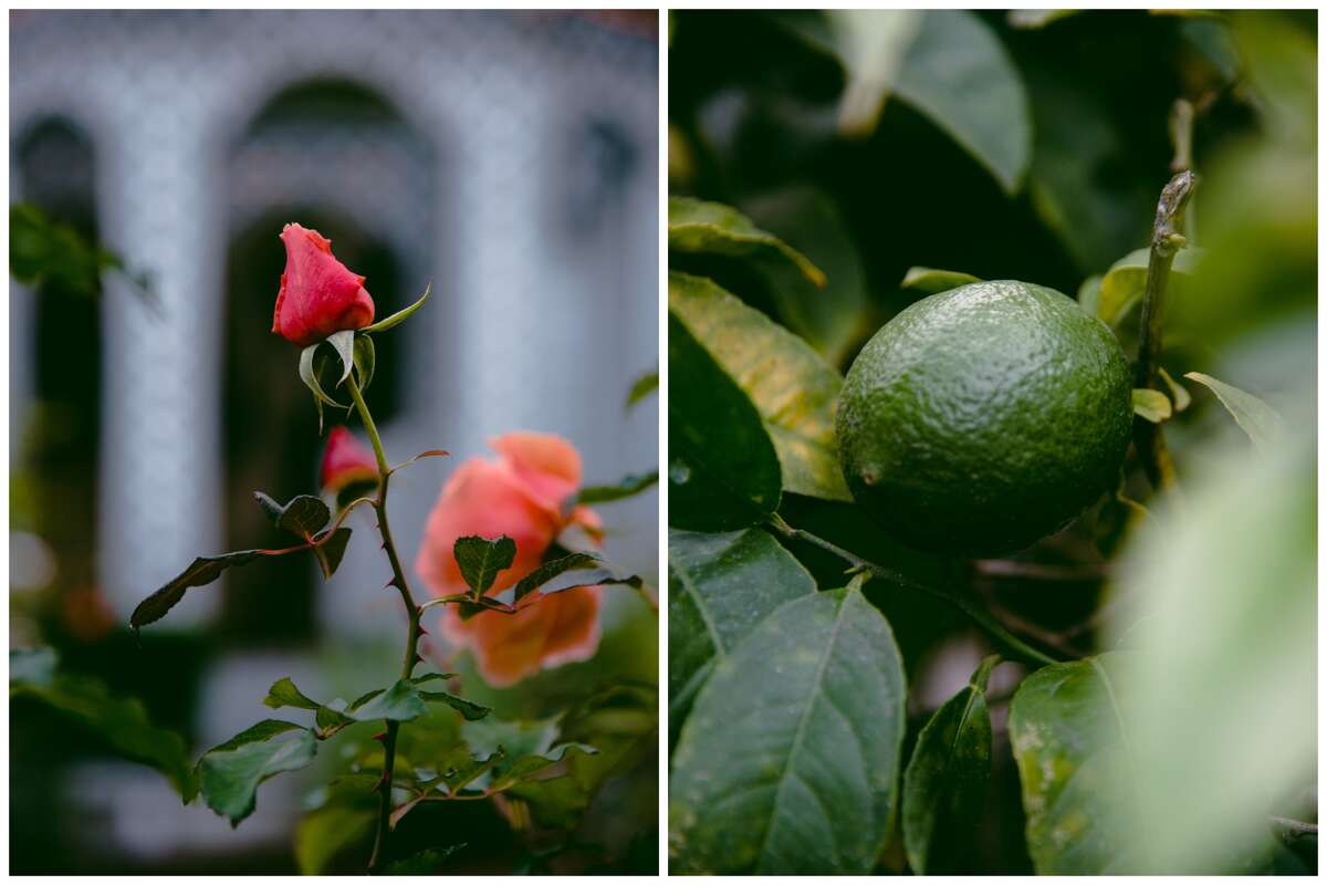 How this private residence became San Francisco's Fay Park